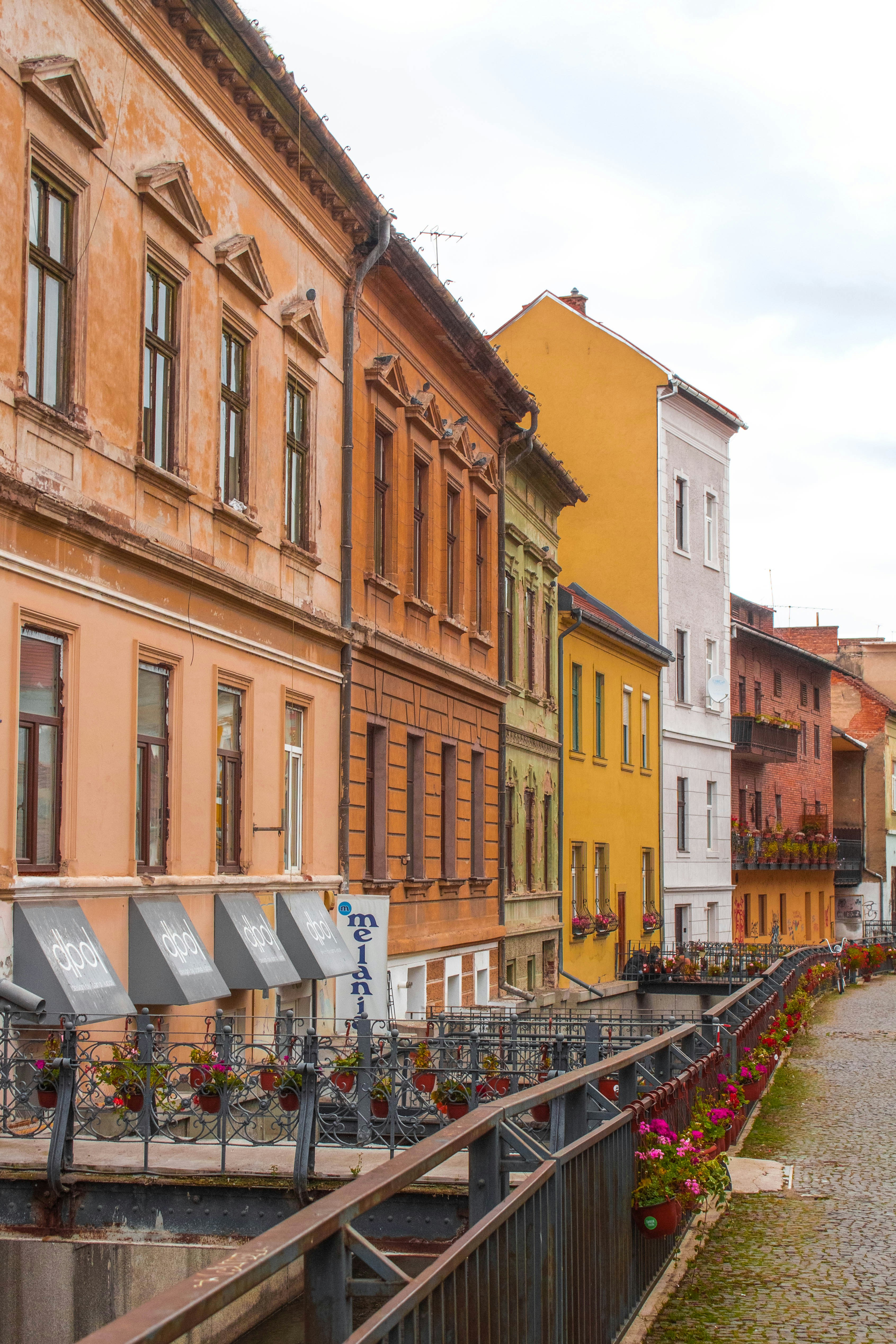 Charming street scene showcasing a row of historic buildings adorned with vibrant hues and floral decorations along the railing.