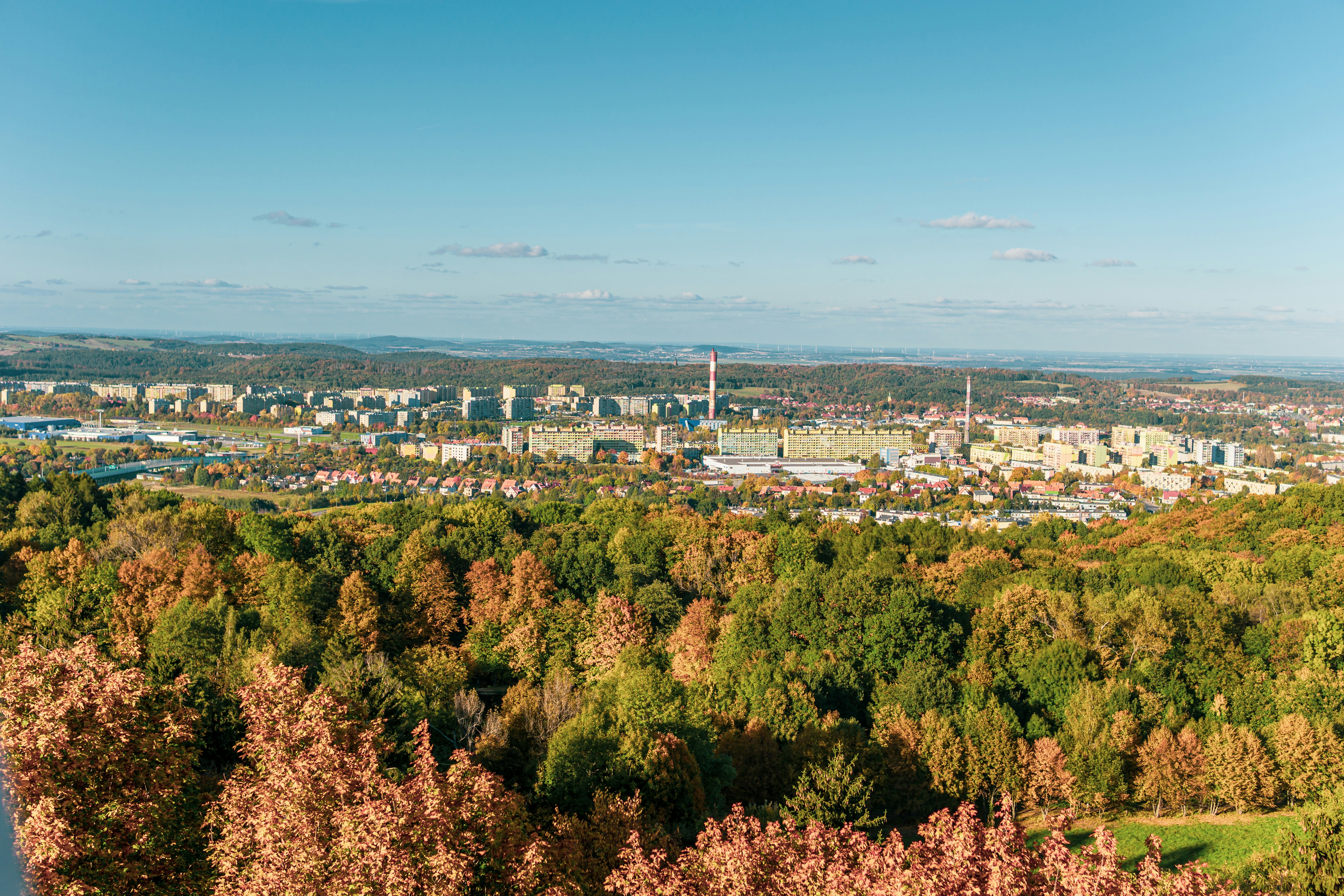 City skyline framed by vibrant autumn foliage under a clear blue sky.