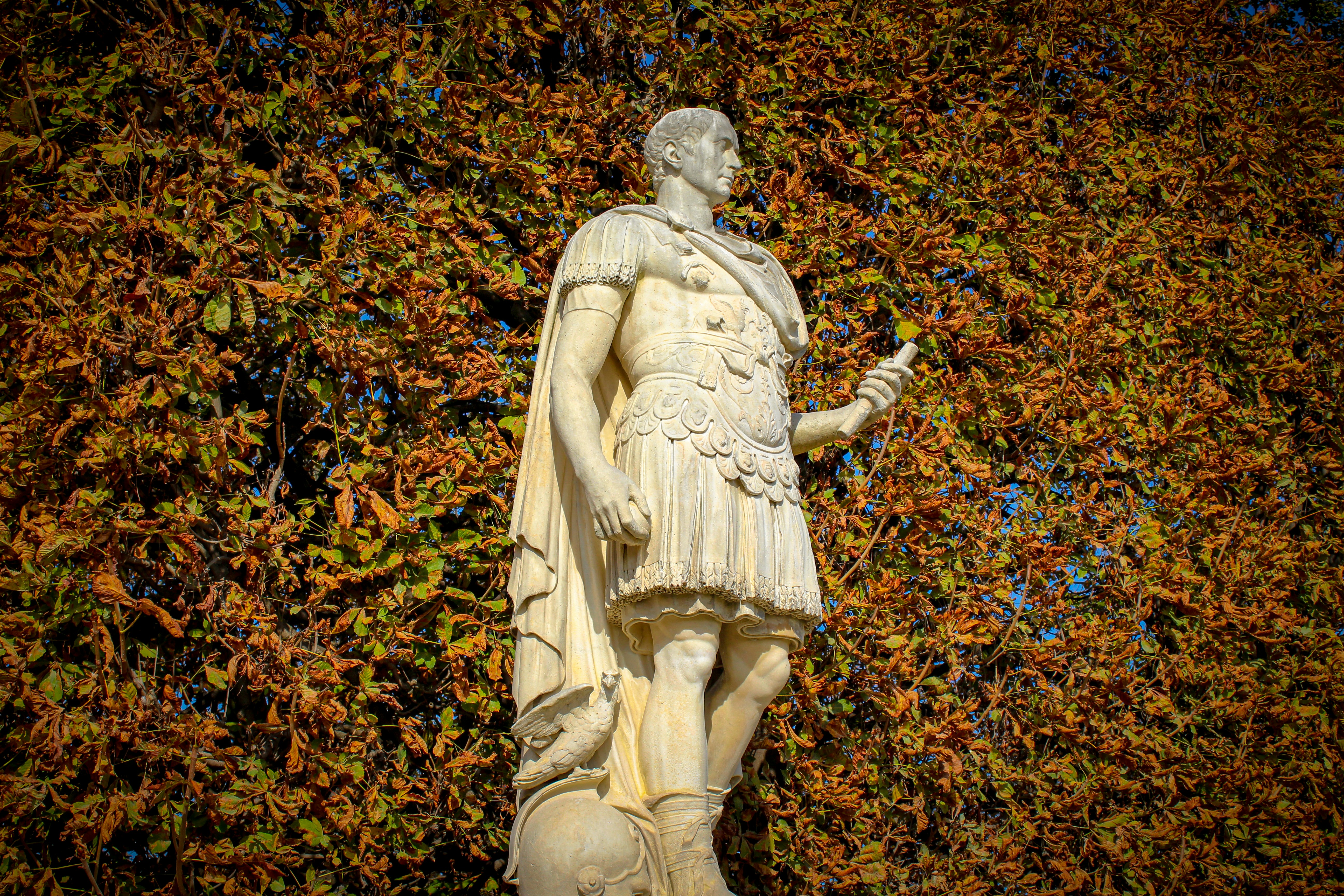 Statue Sentinel beneath autumnal veils