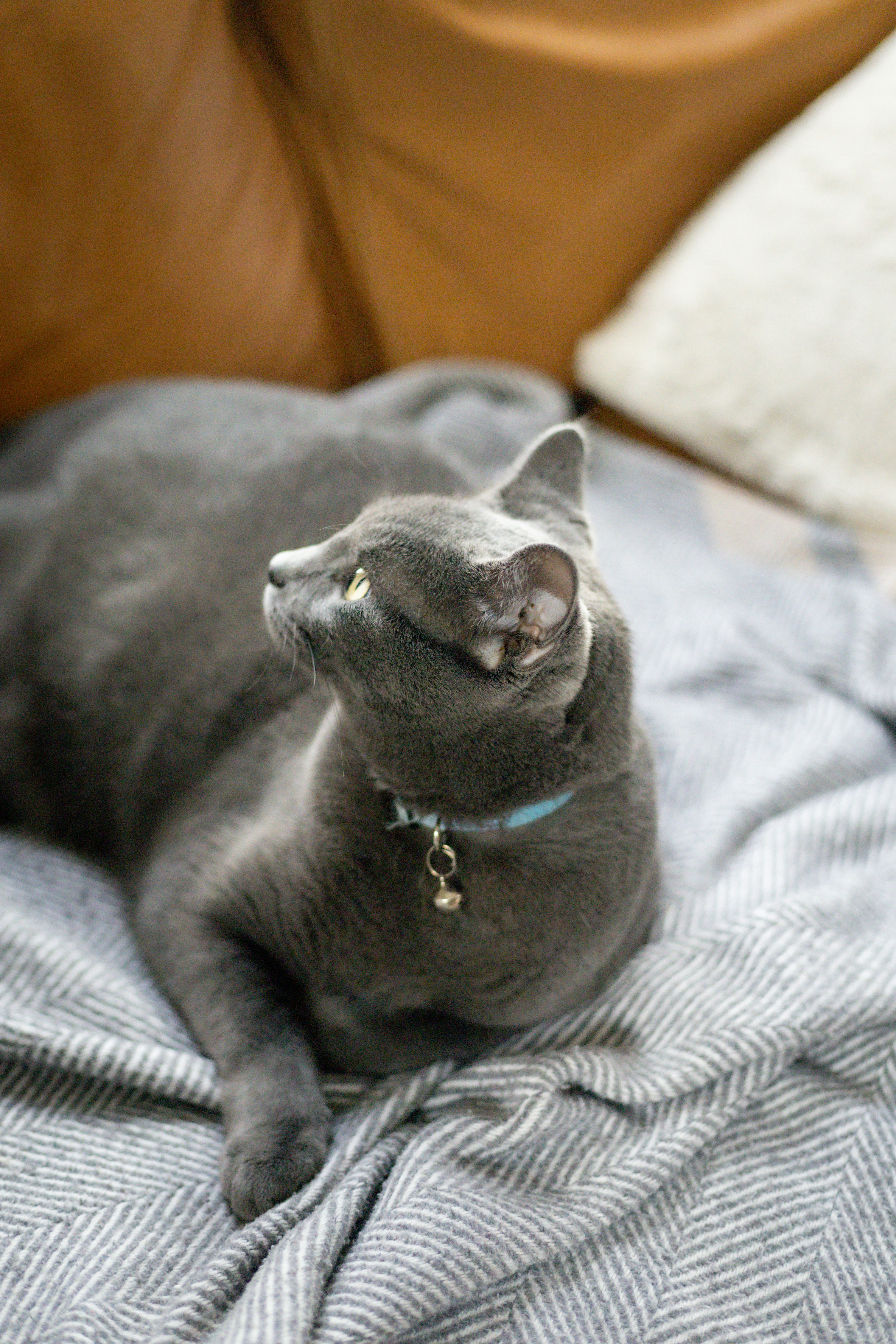 Photo by Bonnie Kittle with Canon EOS RP