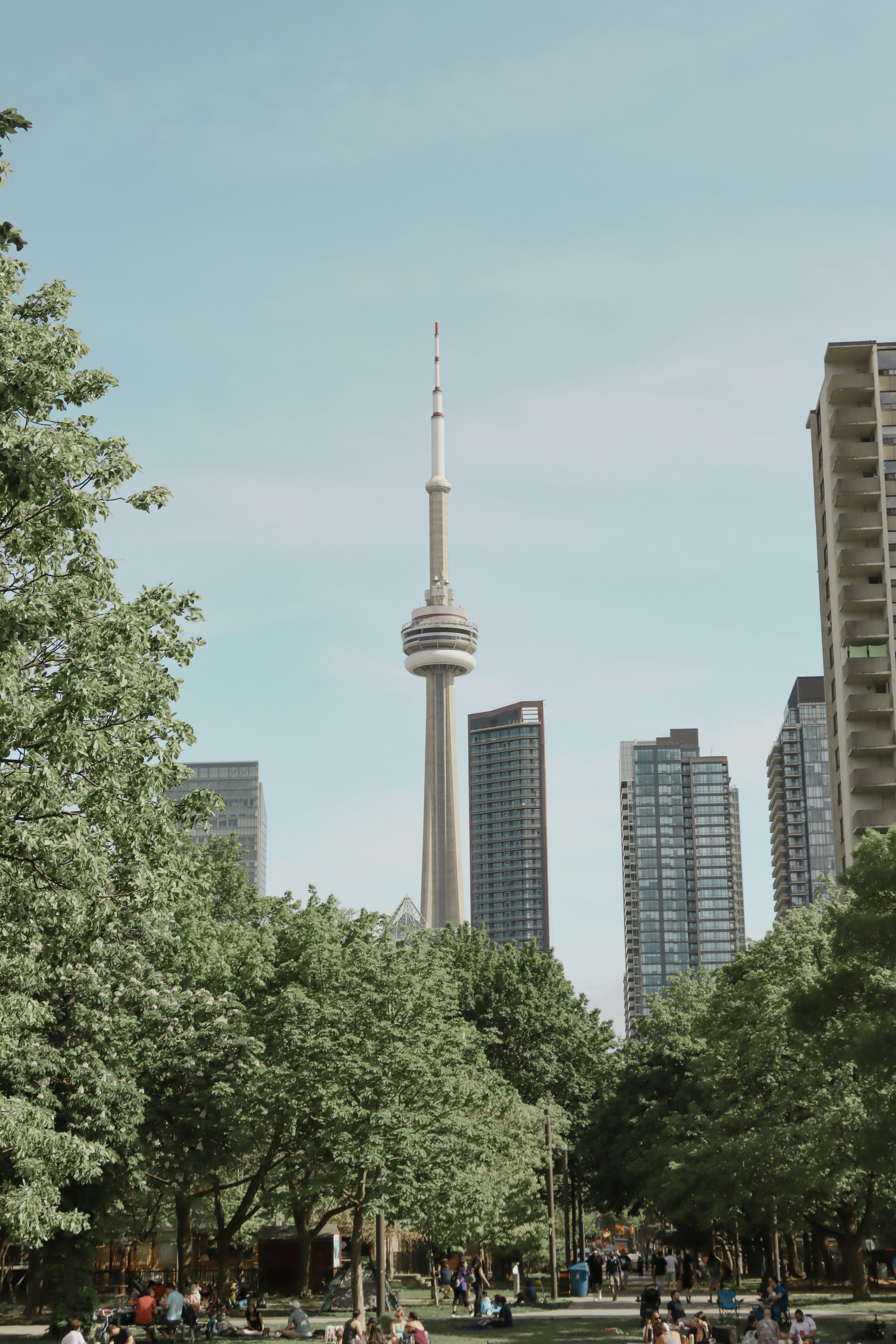 Needle Above the Canopy: Toronto's CN Tower Surging Over a Park Corridor
