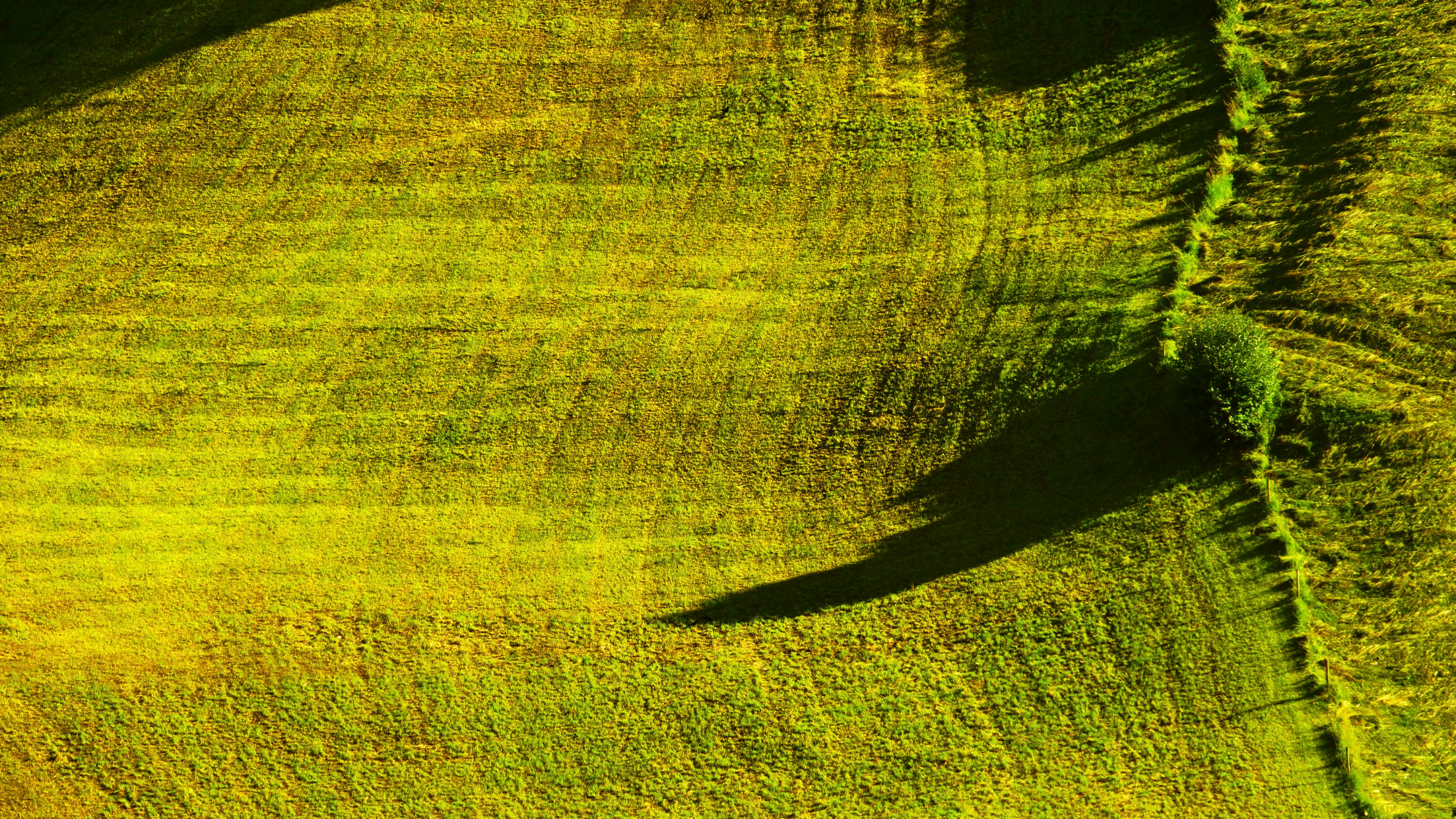 Photo by boris misevic with Sony NEX-7