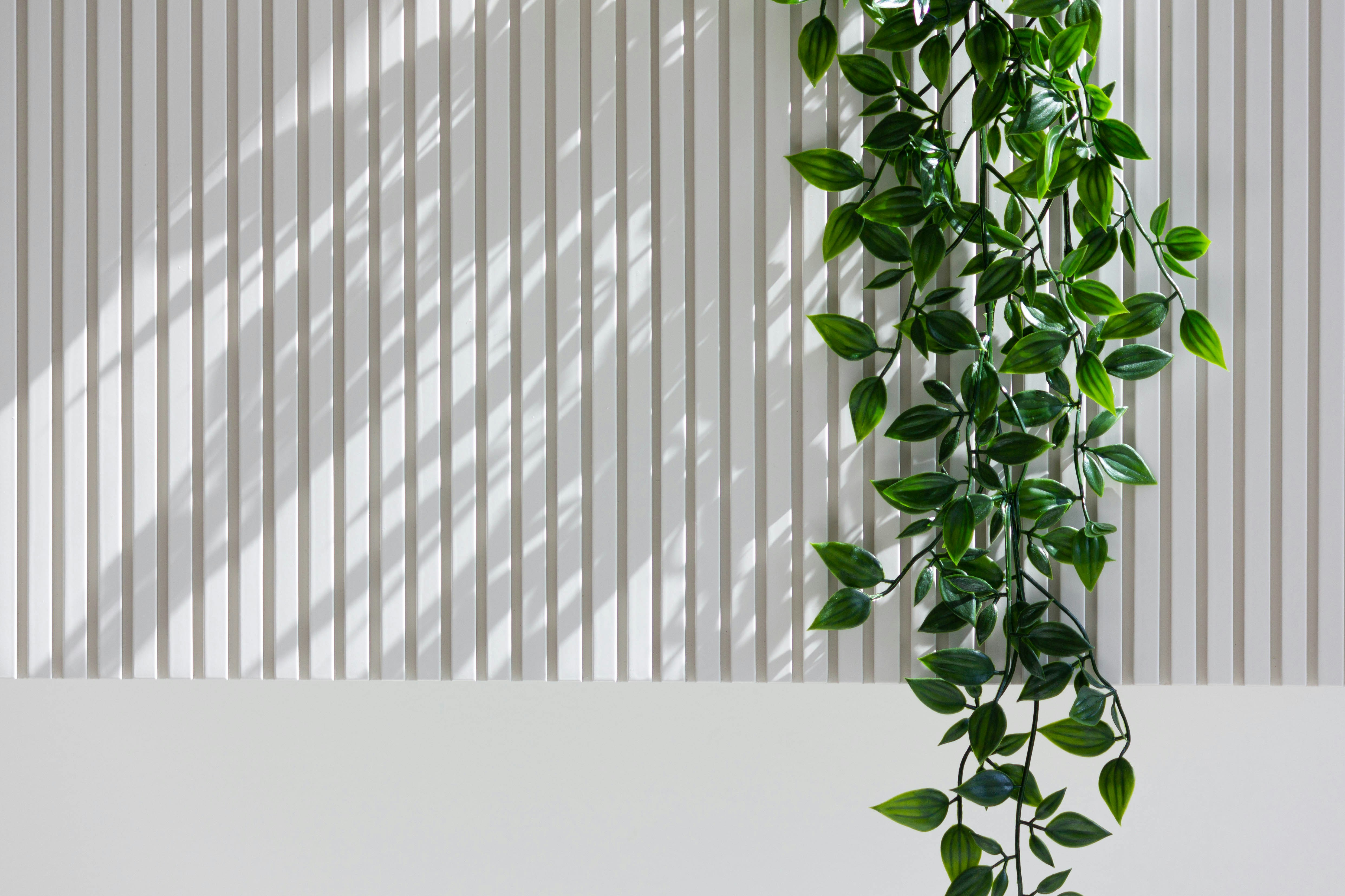Vibrant green vines cascading down a textured wall with vertical stripes, casting intricate shadows. A harmonious blend of nature and contemporary design.