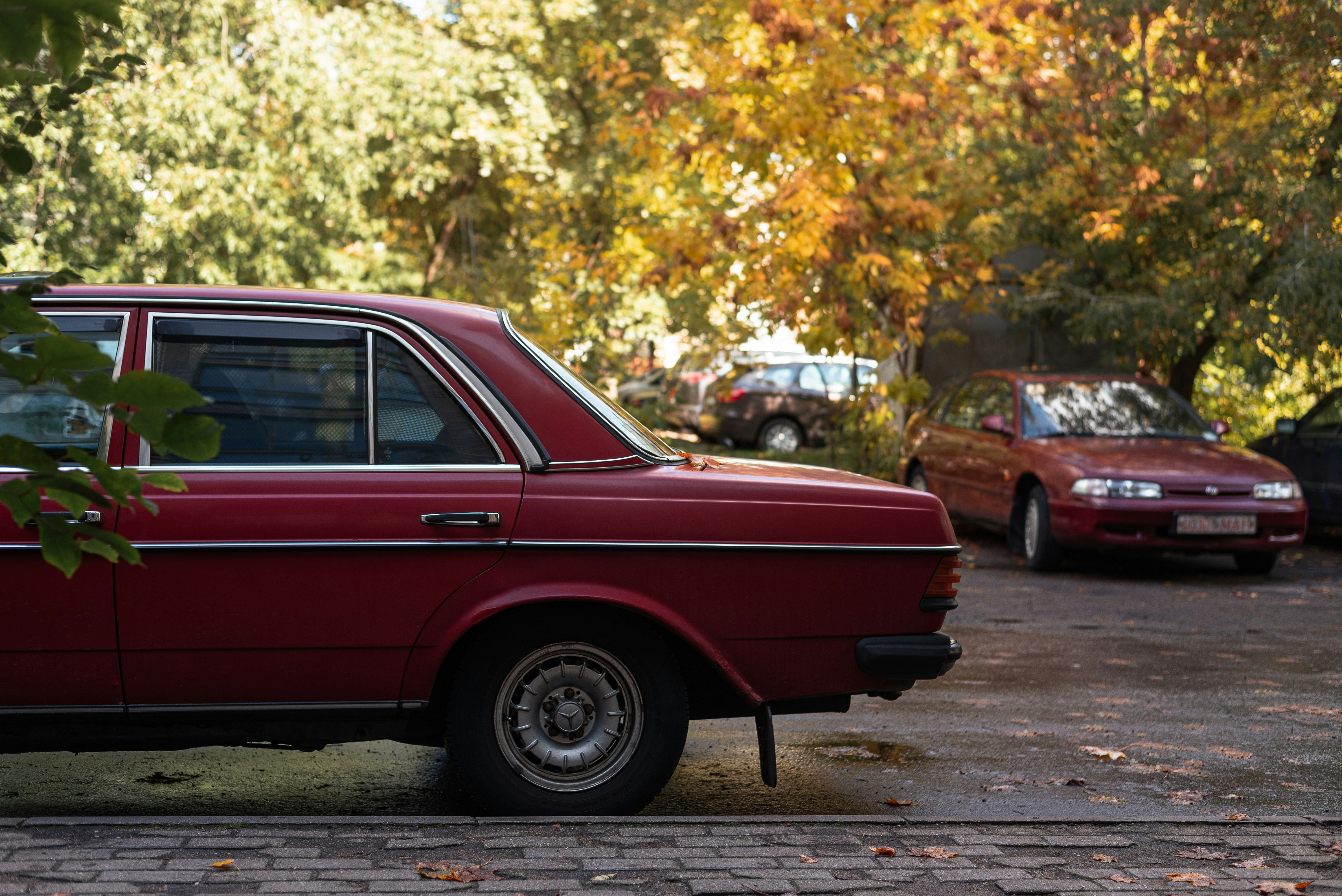 Photo by Vitali Adutskevich with Nikon D750