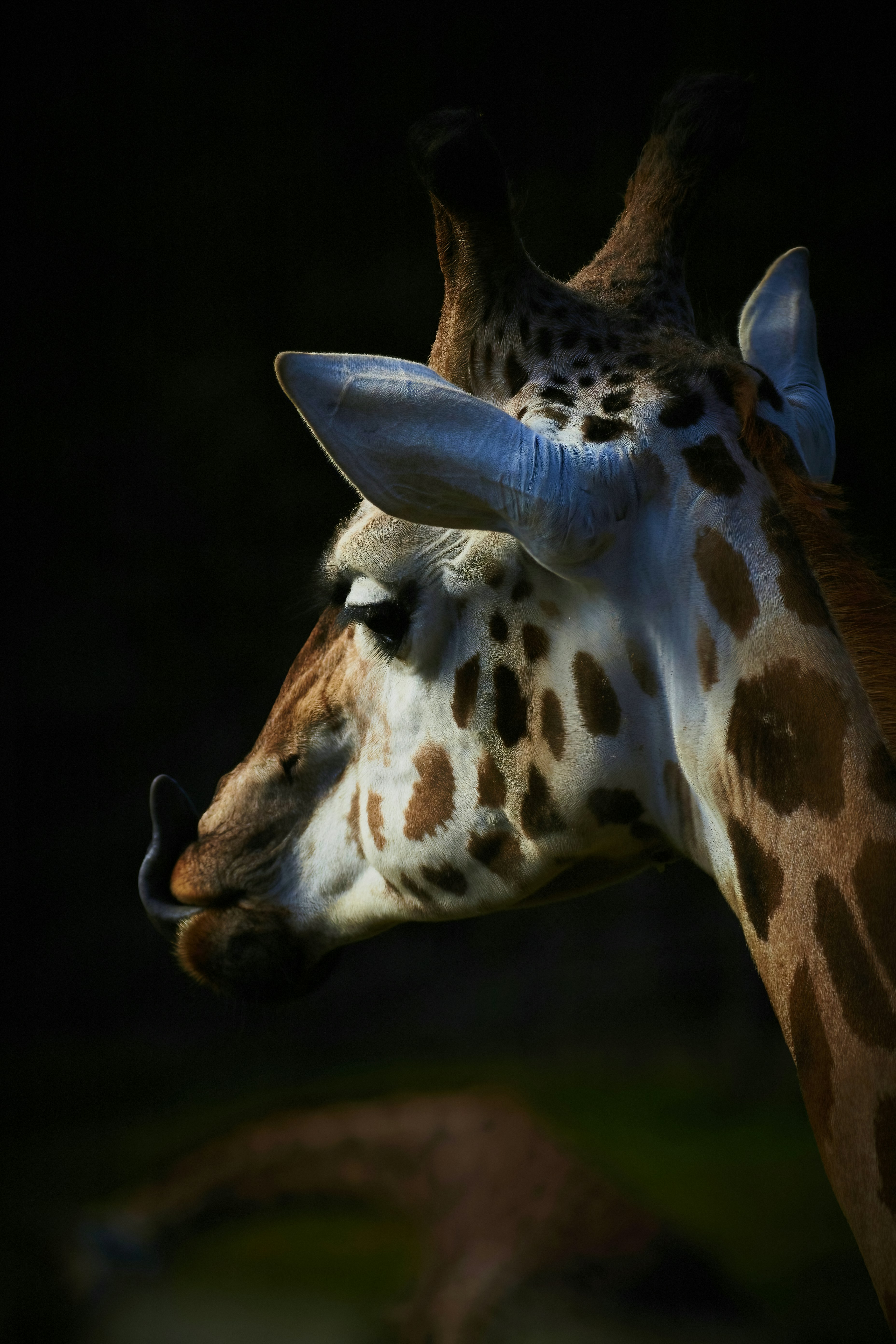Photograph taken by the Cosmos group for Perfectmirror. For any suggestion or advice, do not hesitate to contact us