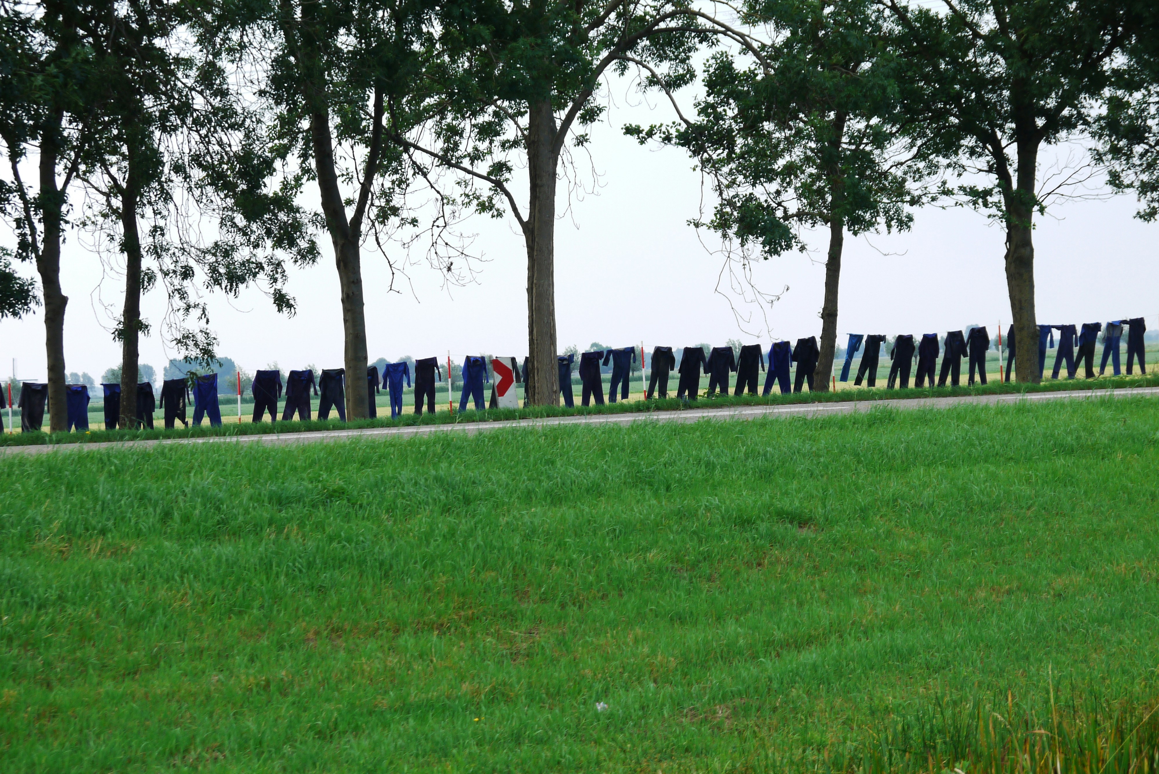 Row of jeans hanging in a line between trees on a grassy hill under a cloudy sky.