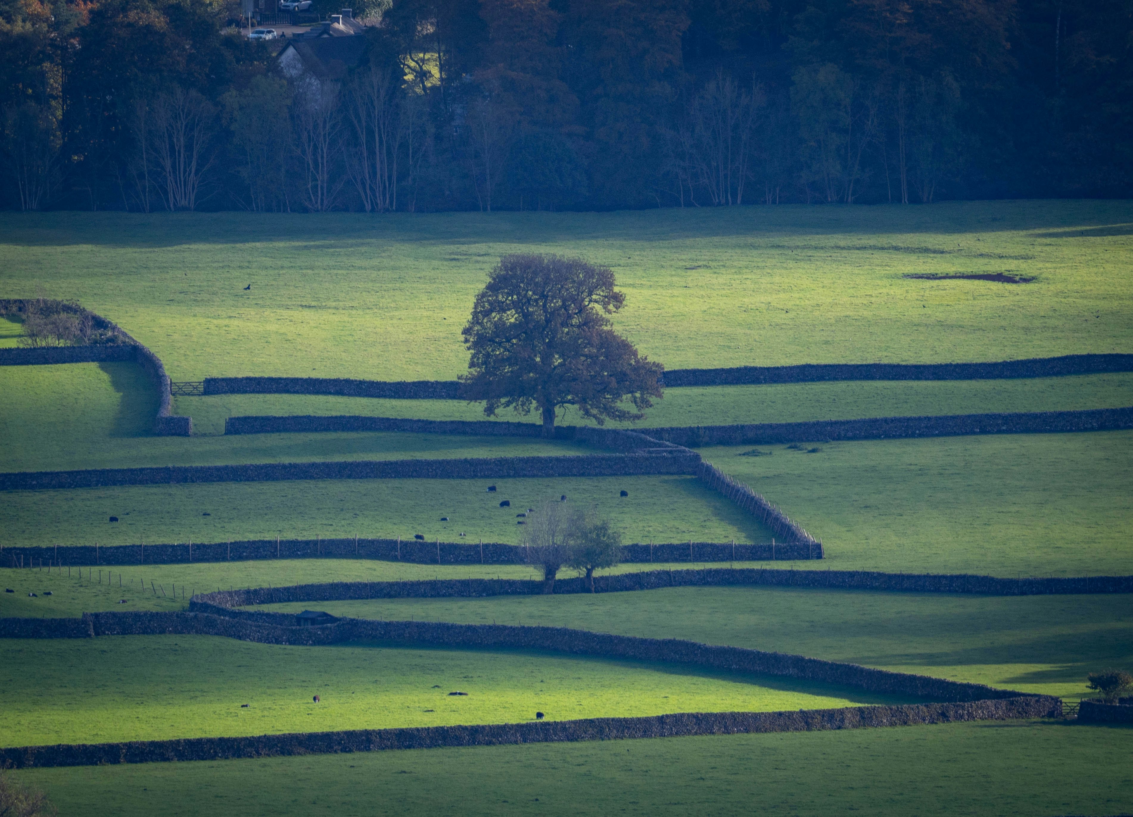 Whispers of the Countryside: Shadows and Stone