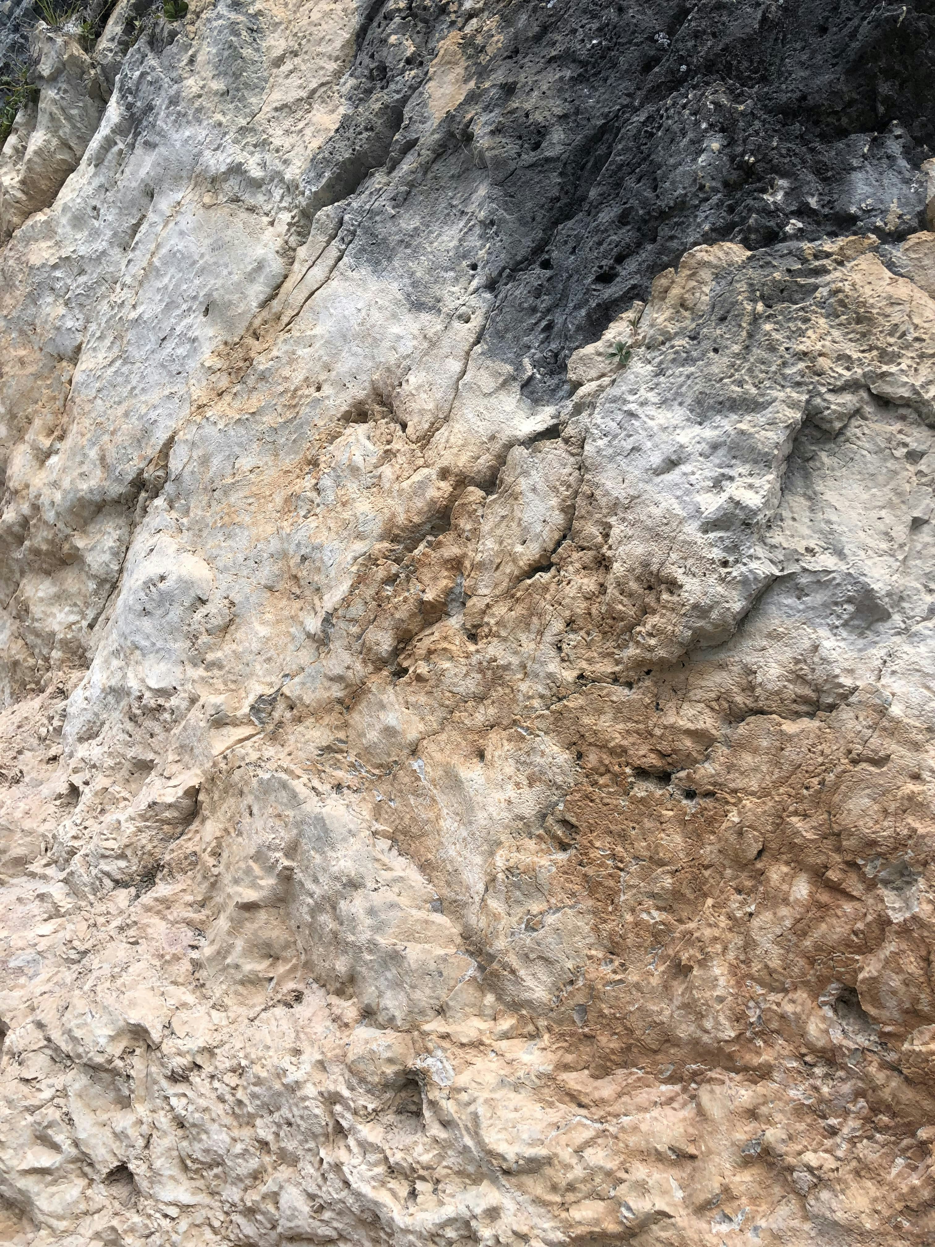 A close-up of a rock photo – Free Rock Image on Unsplash