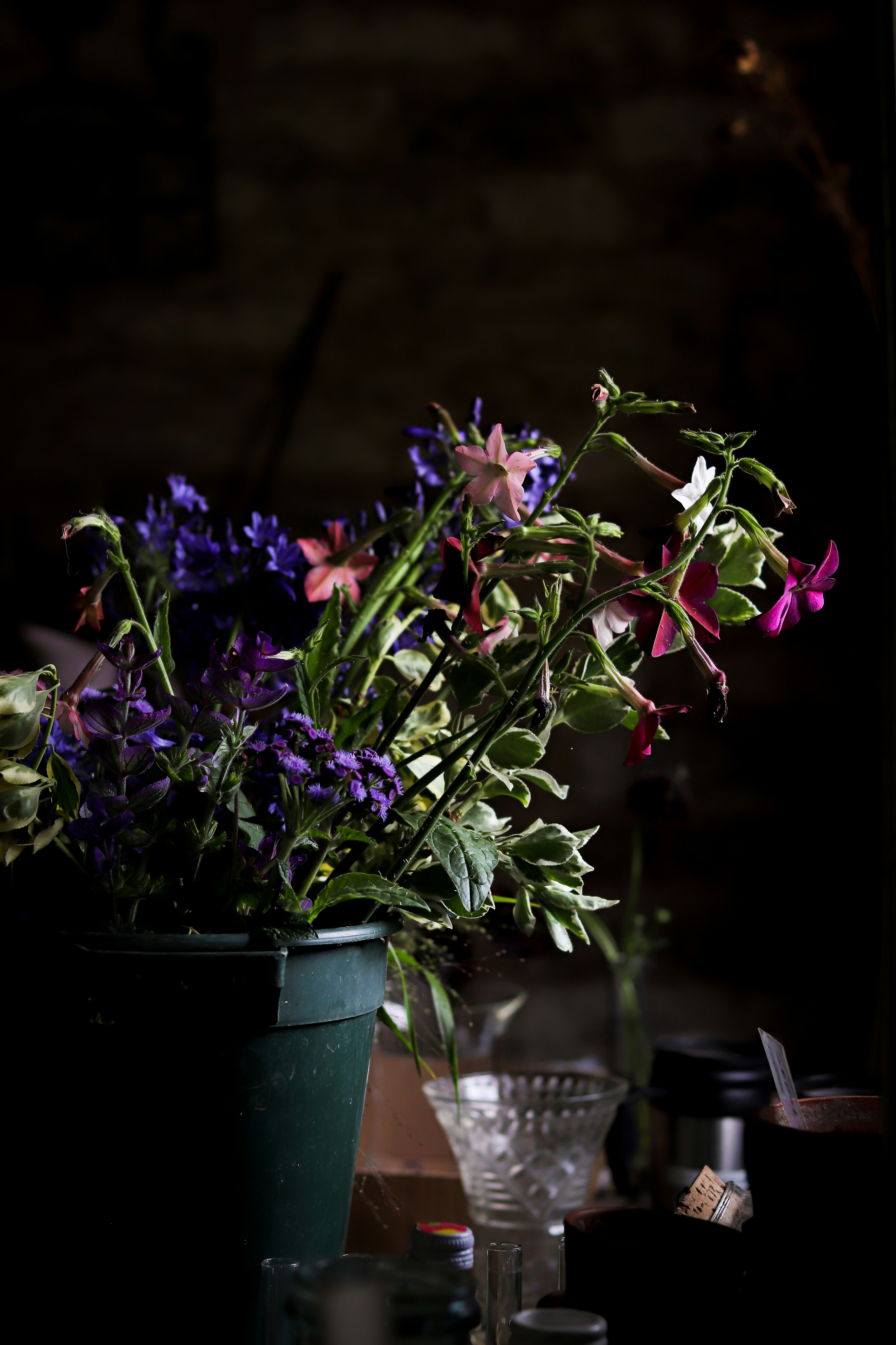 Bloom in the Half-Light: A Still Life of Flowers and Glass
