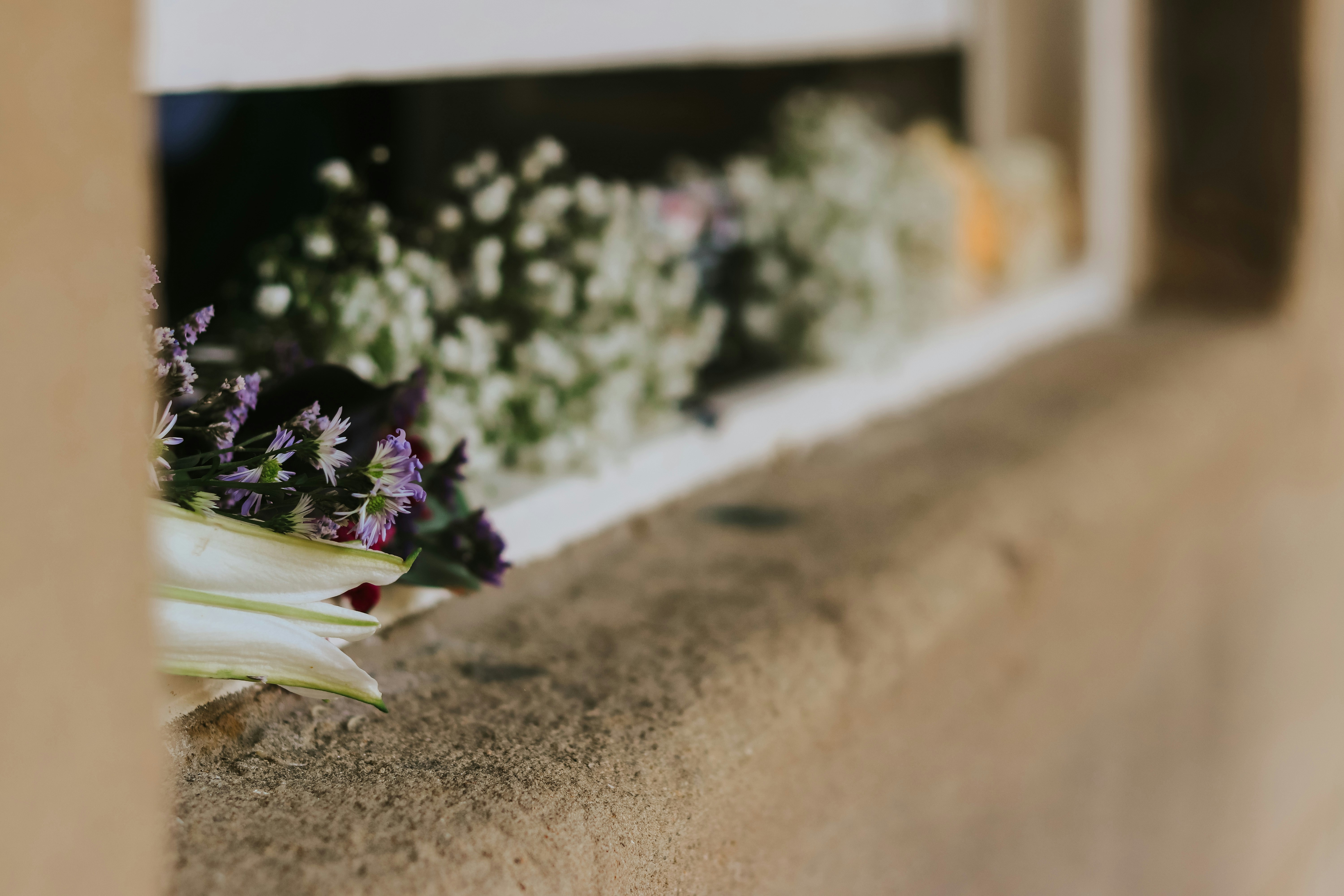 Petals on a Weathered Sill: a Close-Up Study of Bloom and Bokeh