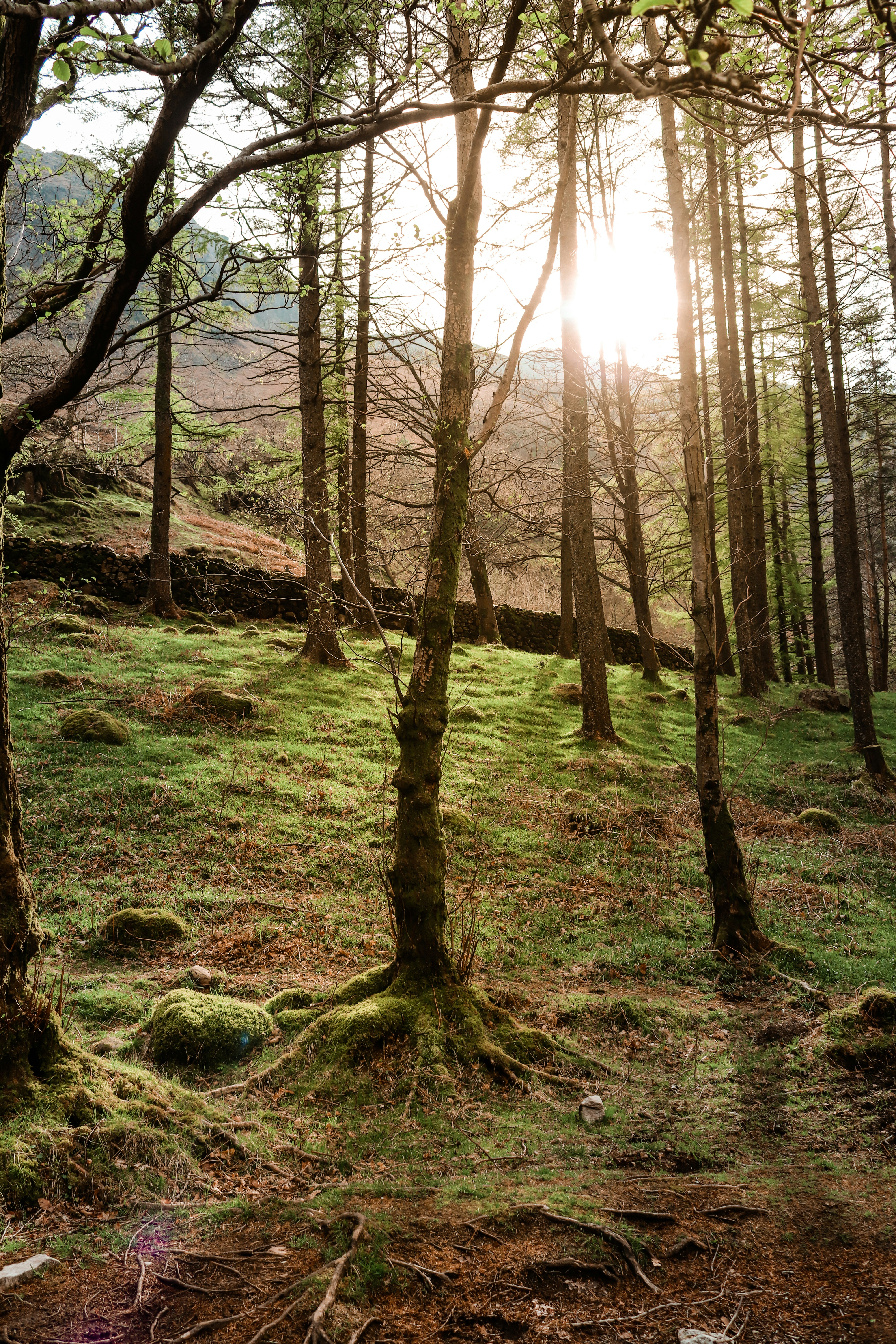 Photo by Sandie Clarke with Canon EOS 200D