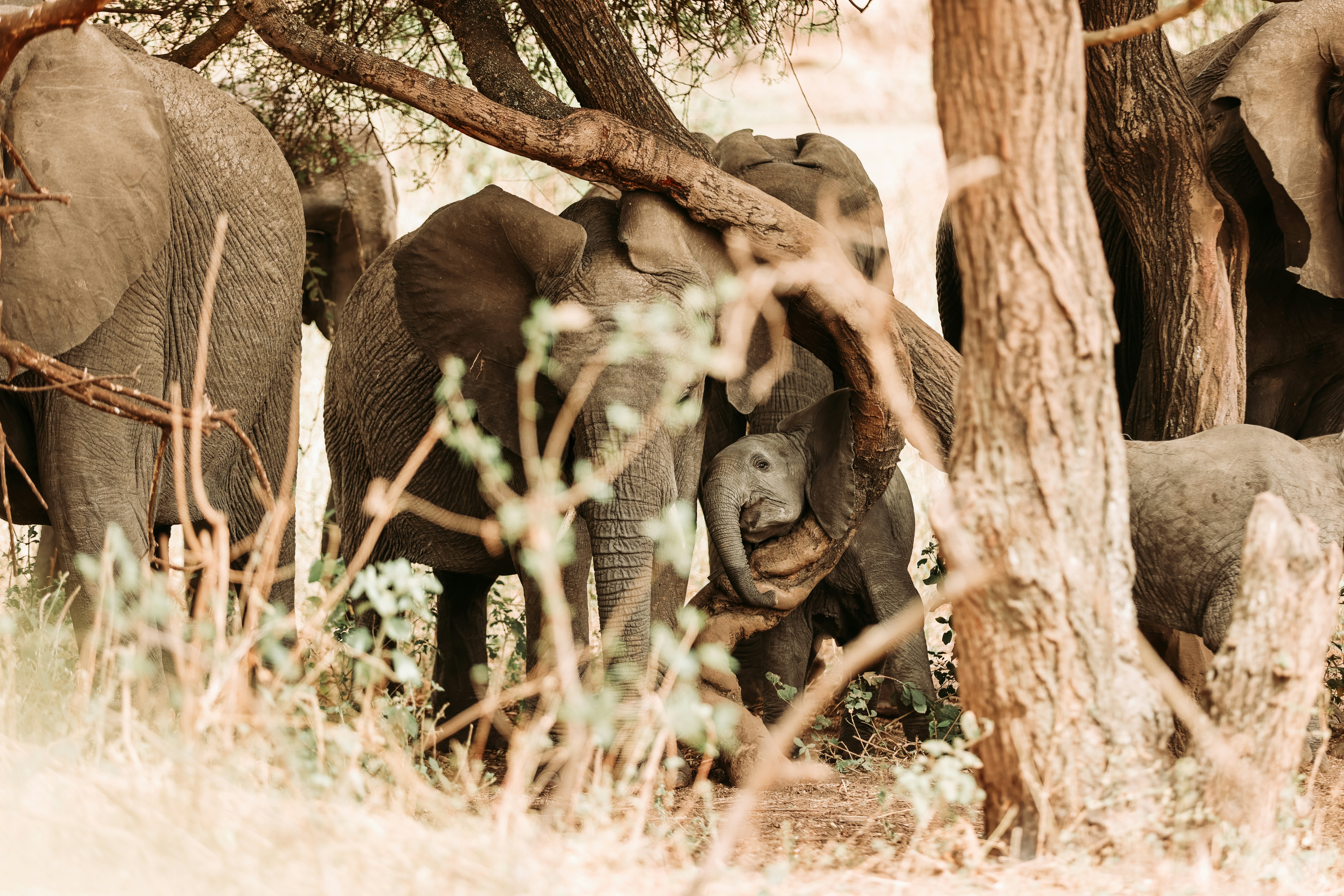 Karl Fredrickson (@kfred) | Unsplash Photo Community