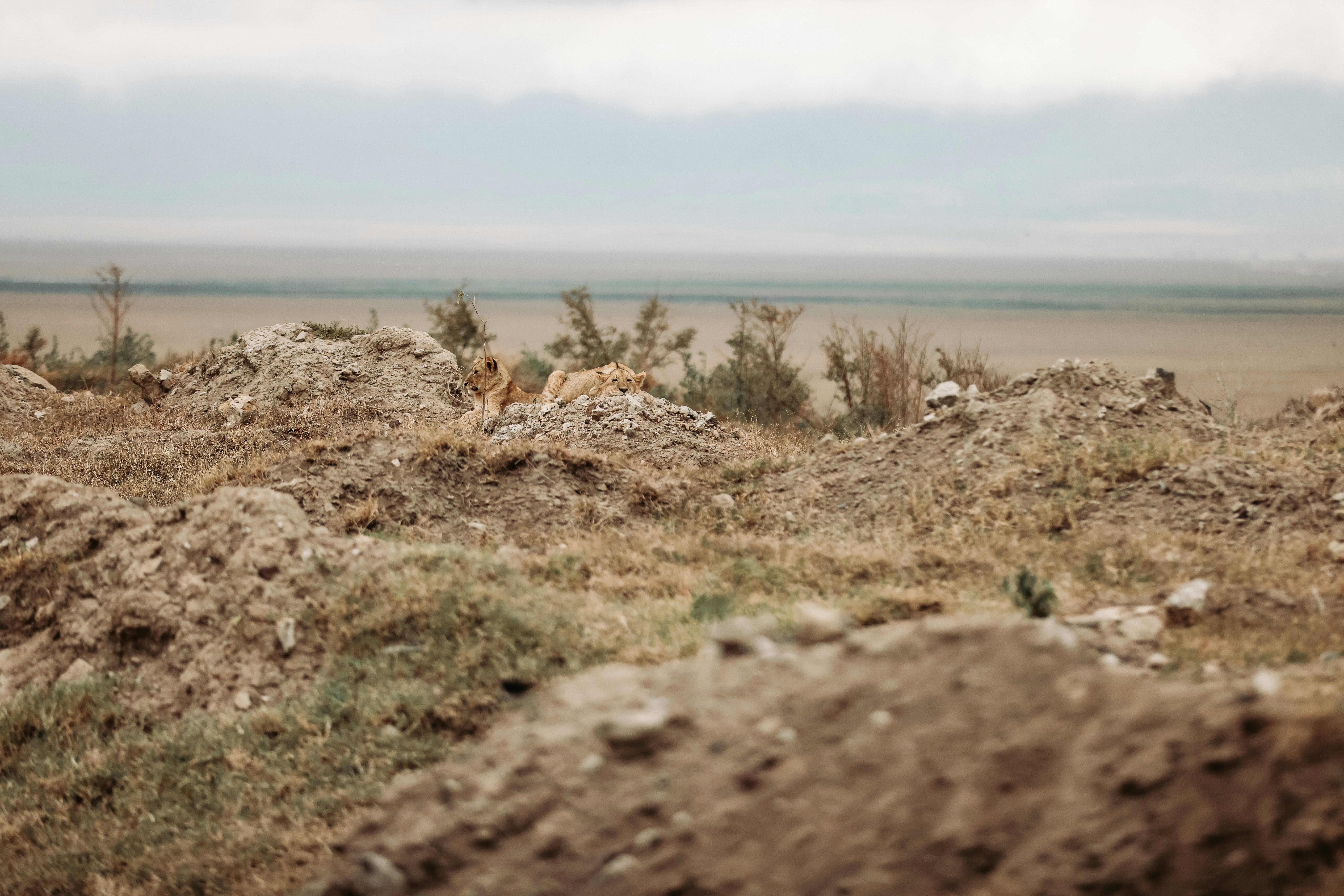 Karl Fredrickson (@kfred) | Unsplash Photo Community