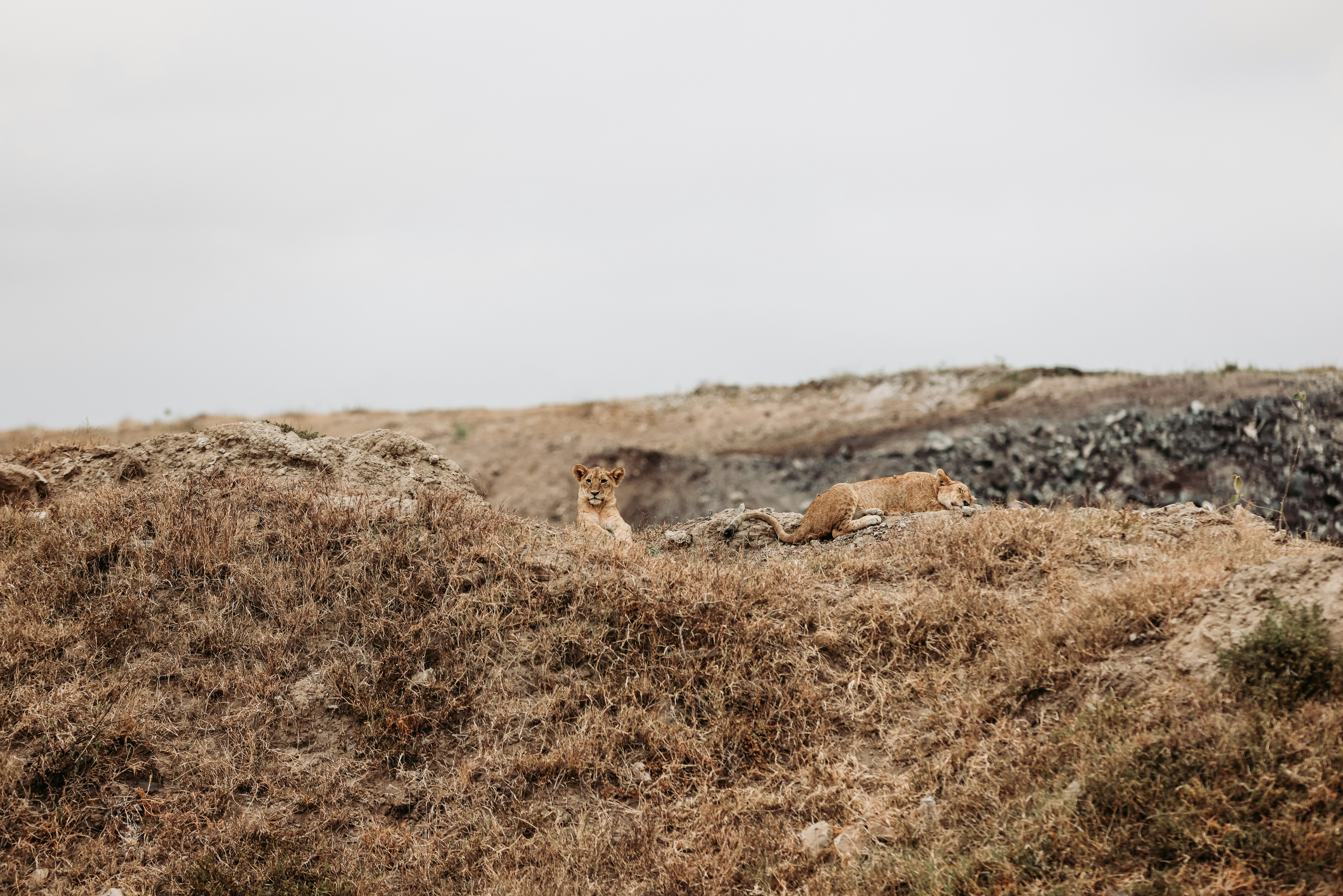 Karl Fredrickson (@kfred) | Unsplash Photo Community