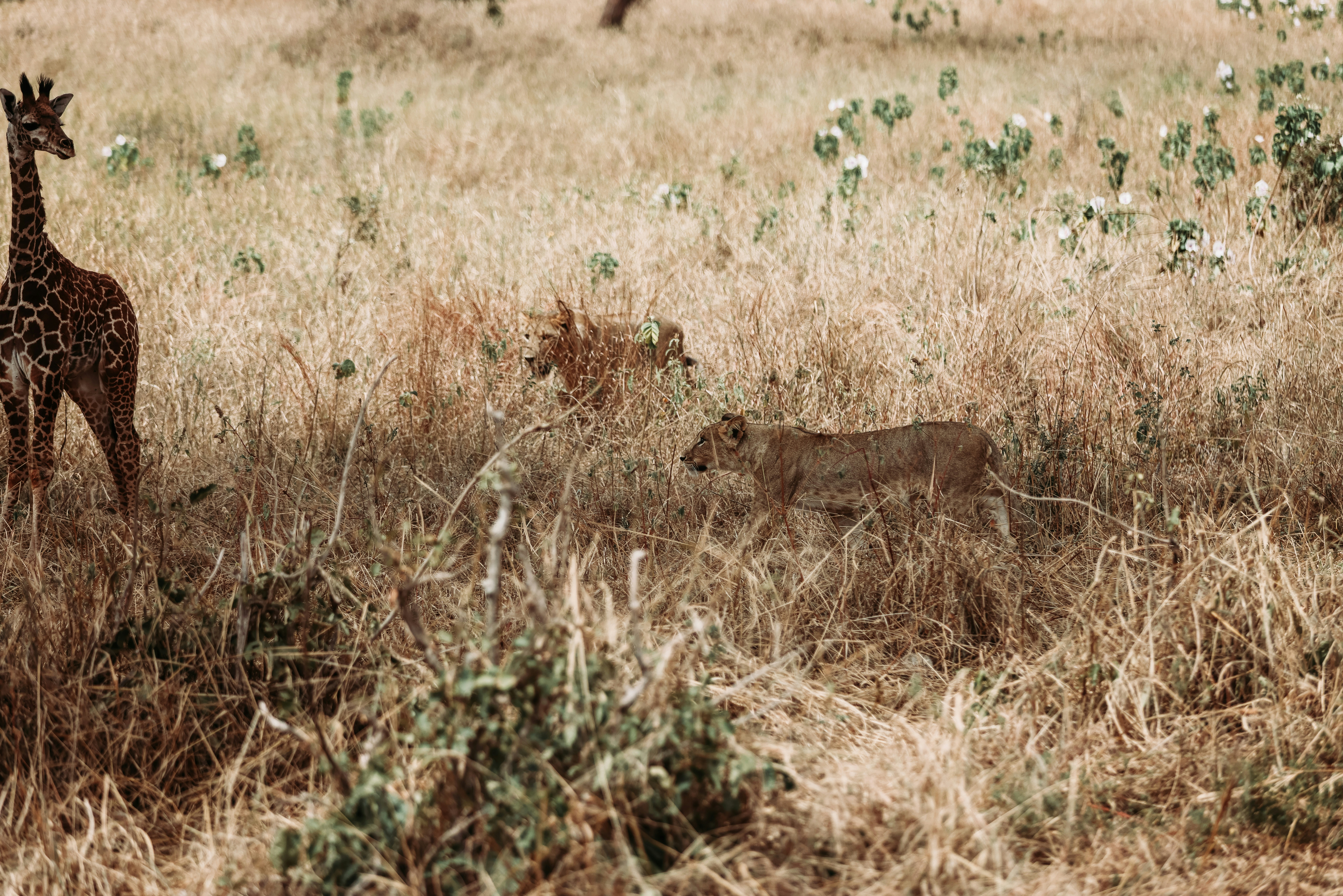 Karl Fredrickson (@kfred) | Unsplash Photo Community