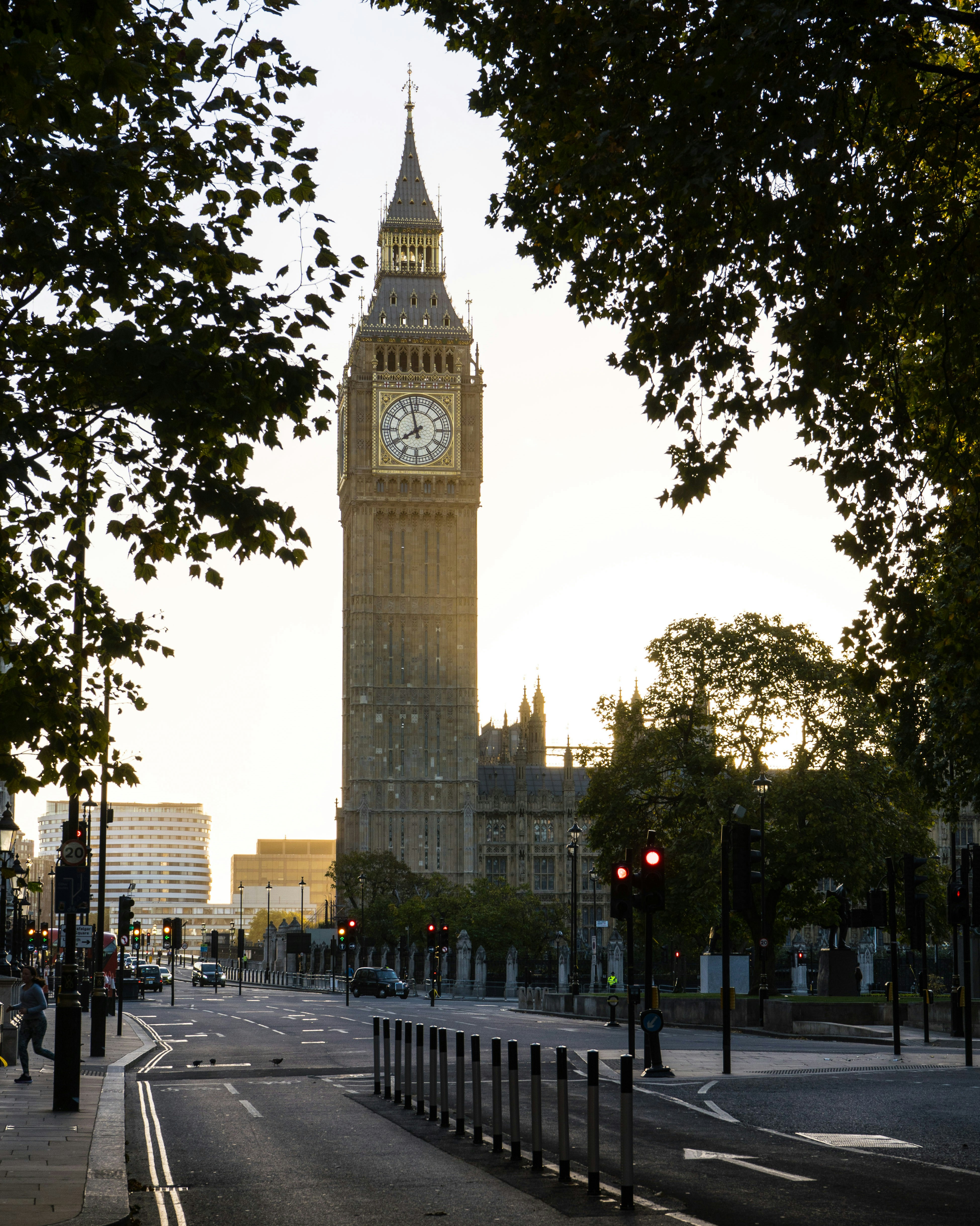 Clock tower framed by silhouetted trees against a dawn sky in London.