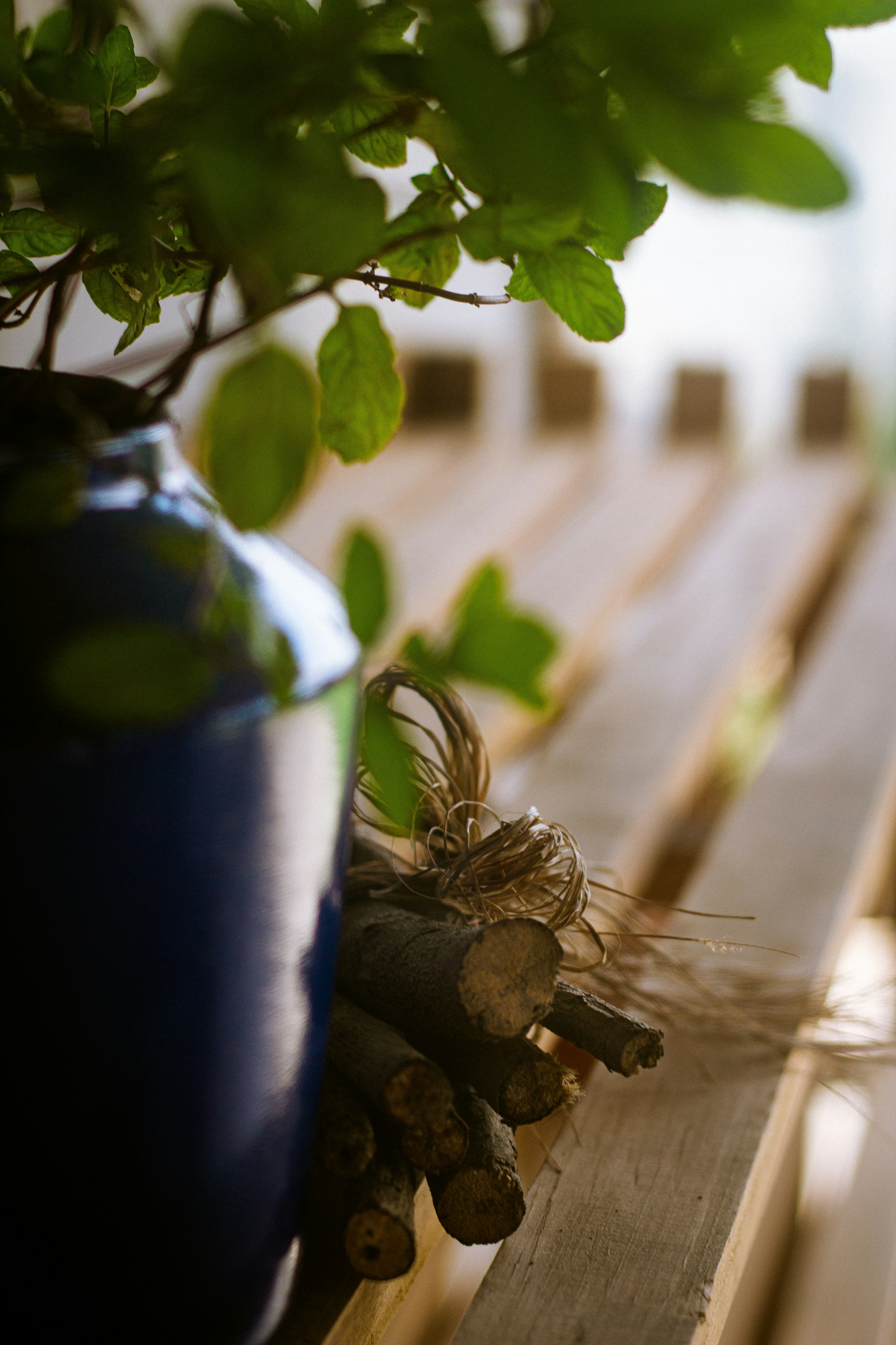 Outdoors home decoration.