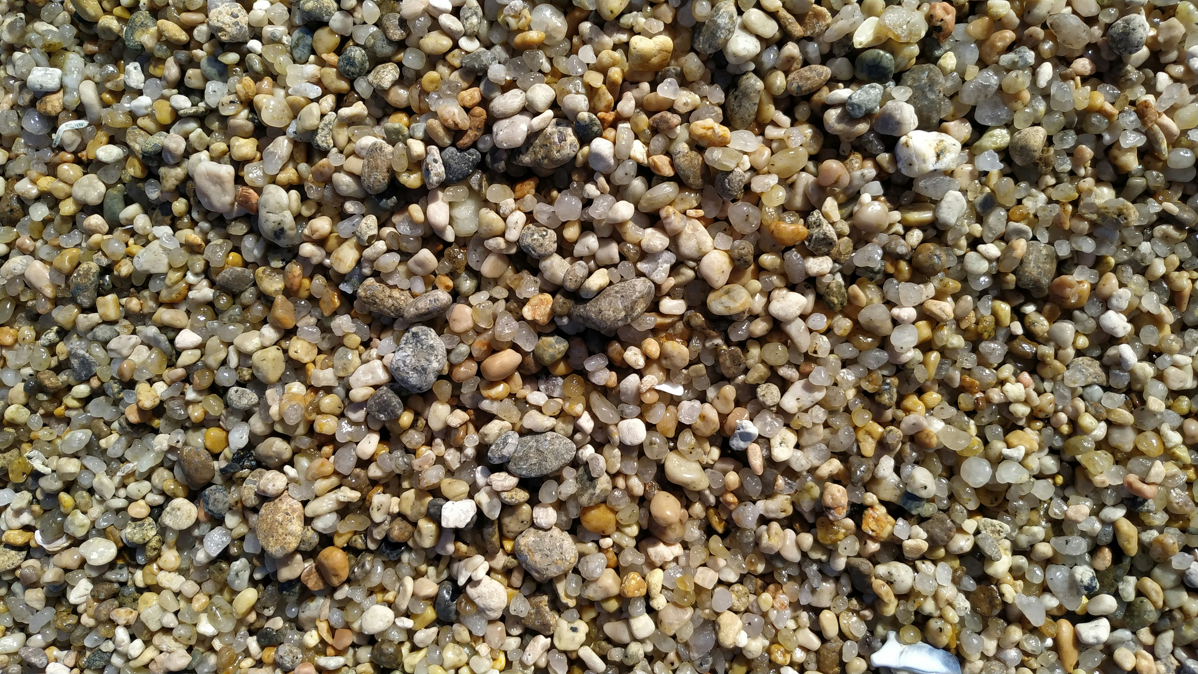 Pebble Microcosm: Close-Up of Sun-Warmed Gravel