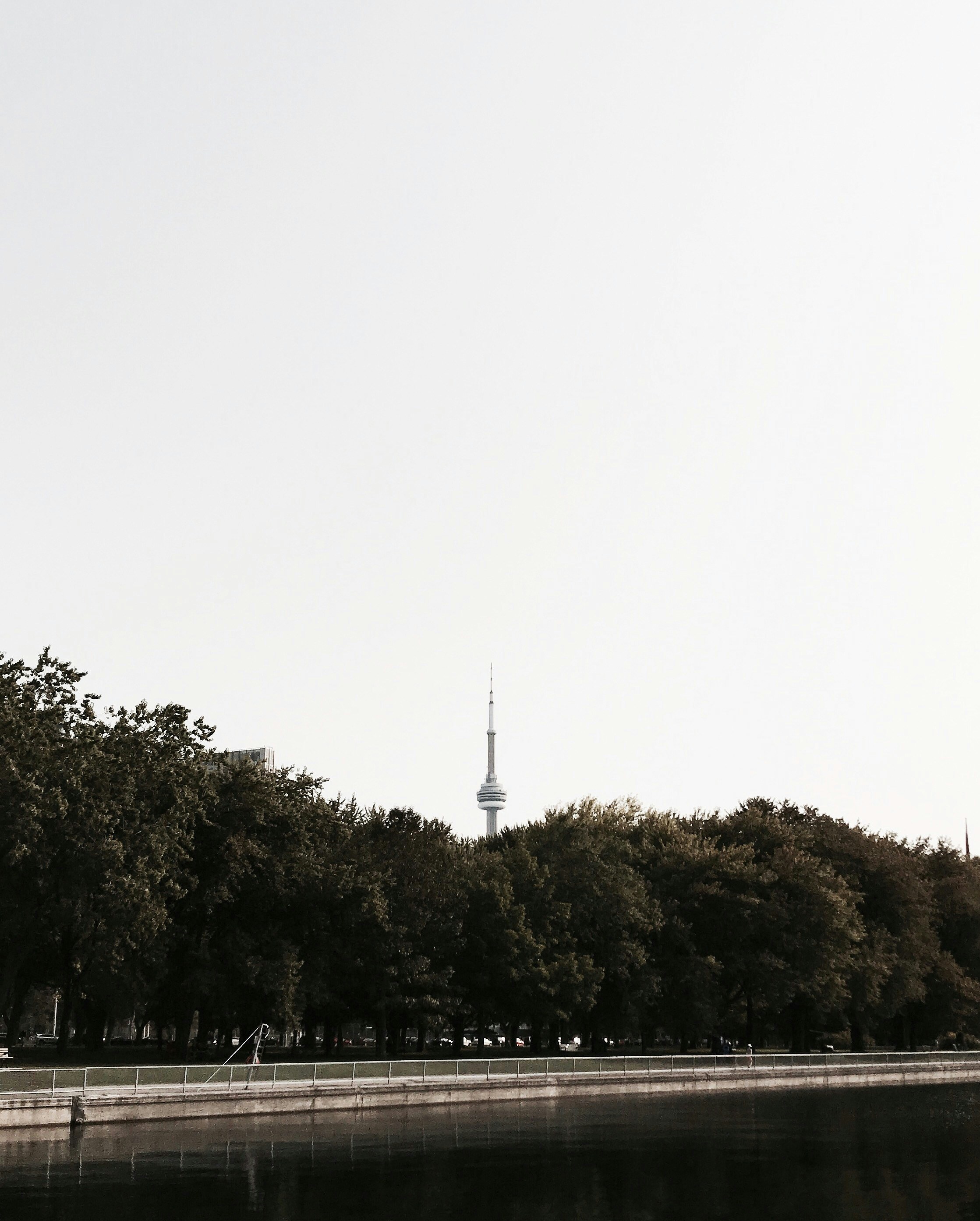 The CN Tower rises majestically above a tree-lined waterfront, blending urban architecture with natural beauty. A tranquil scene captures the essence of city life harmonizing with nature.