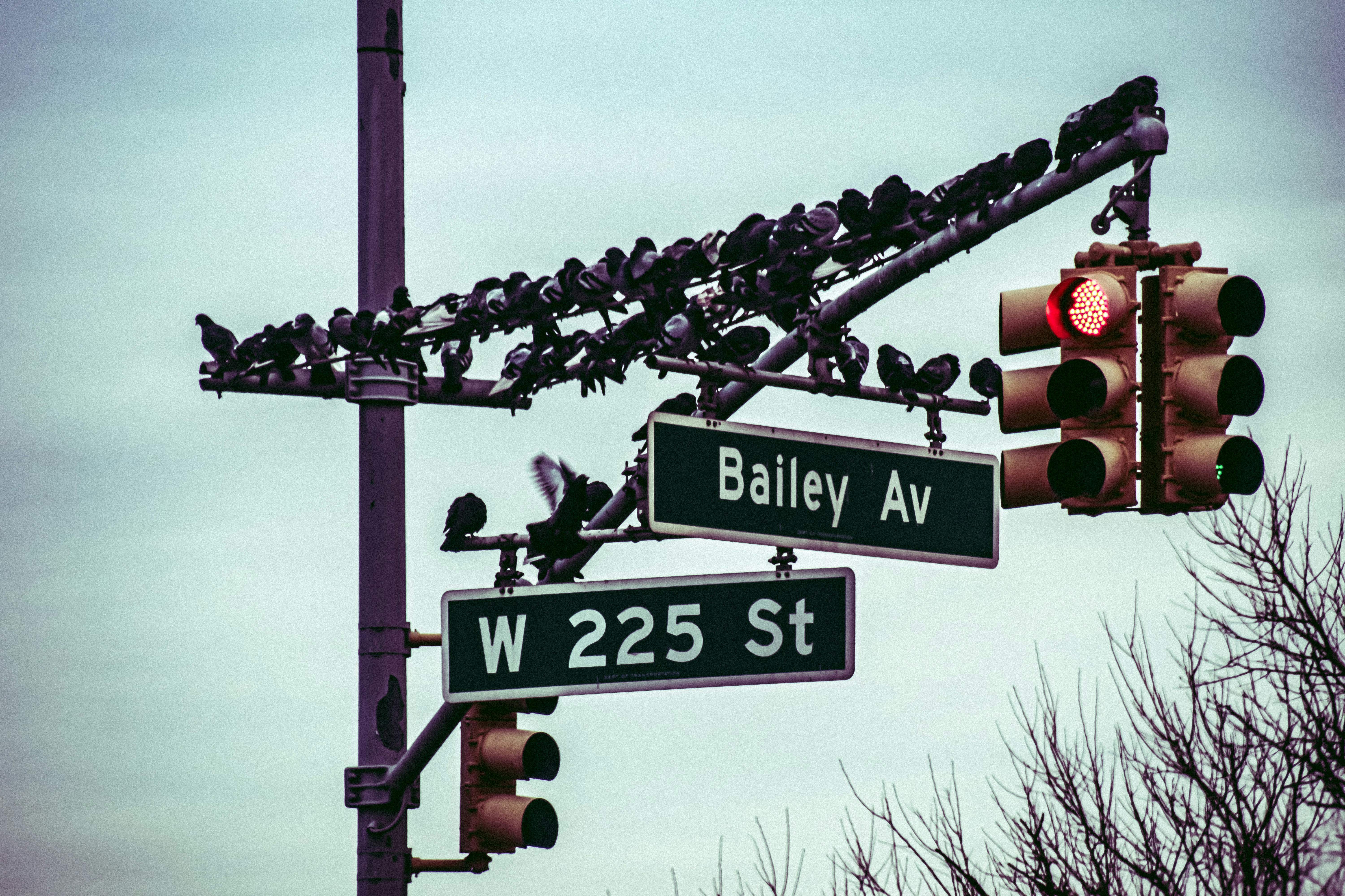 A street sign and traffic lights photo – Free Traffic light Image on ...