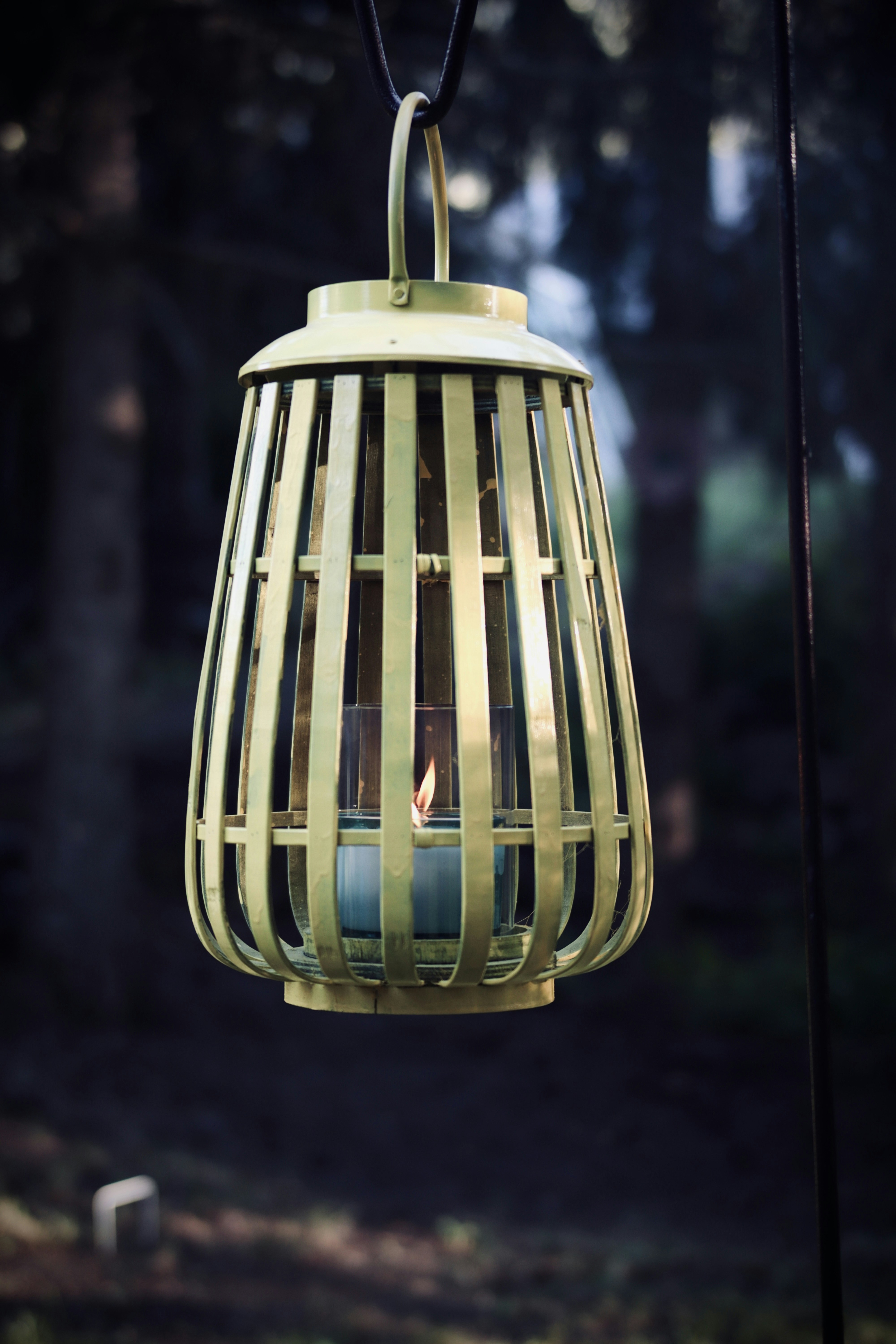 Photo by Harmandeep Singh with Canon EOS M50