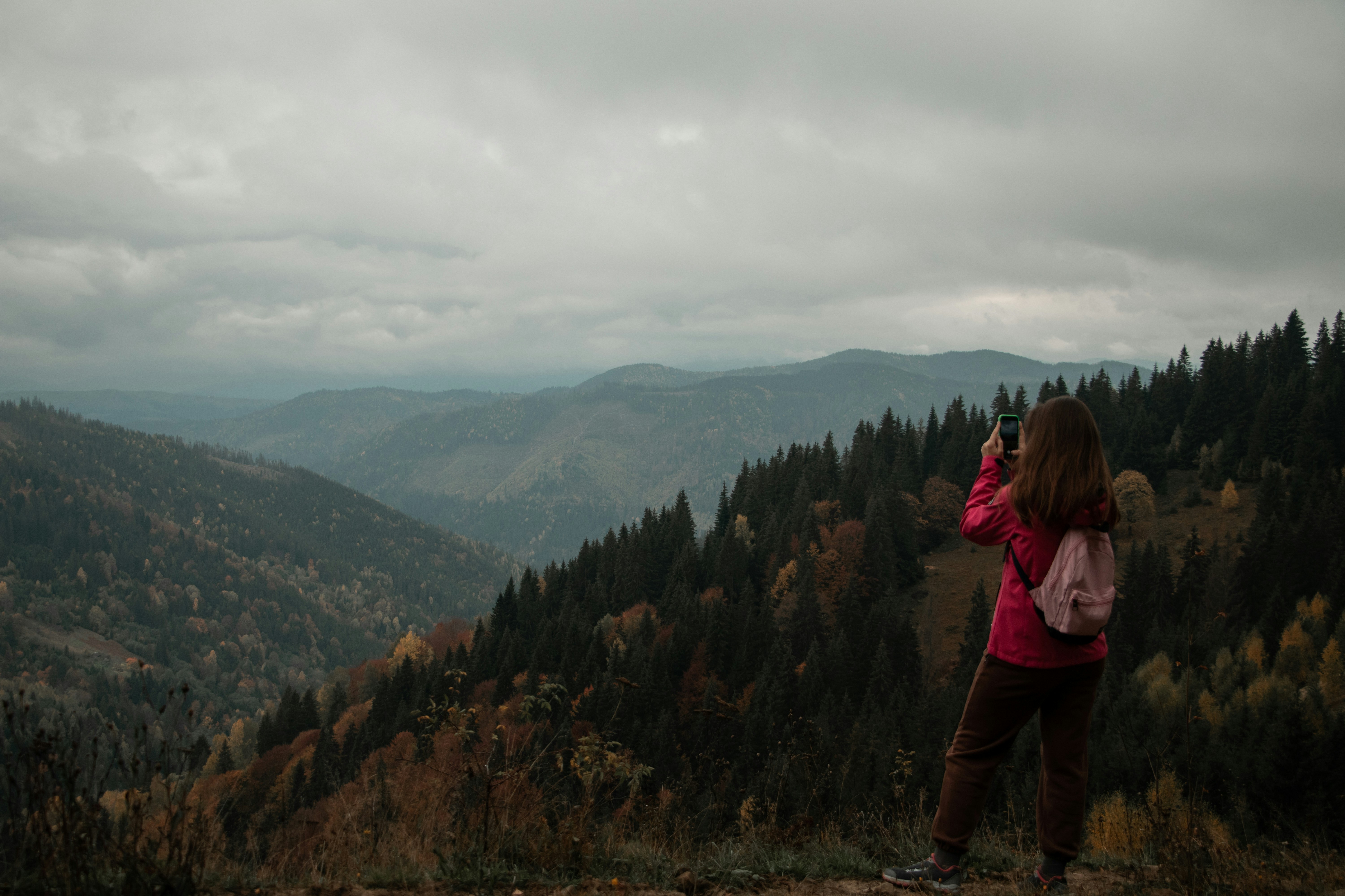 Foto Una persona parada en una colina con vistas a un valle con árboles ...