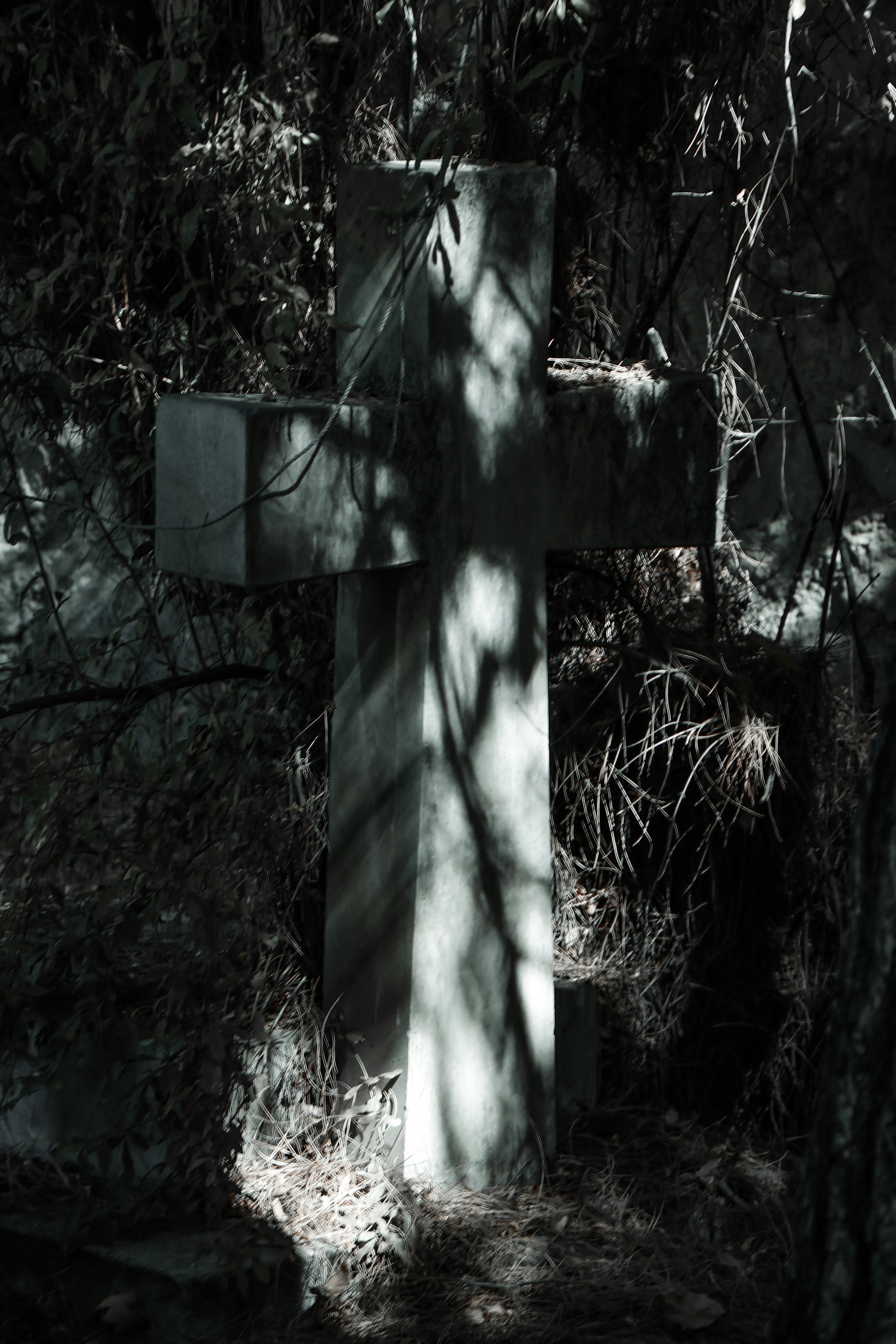 A cross in the woods photo – Free Ortodox Image on Unsplash