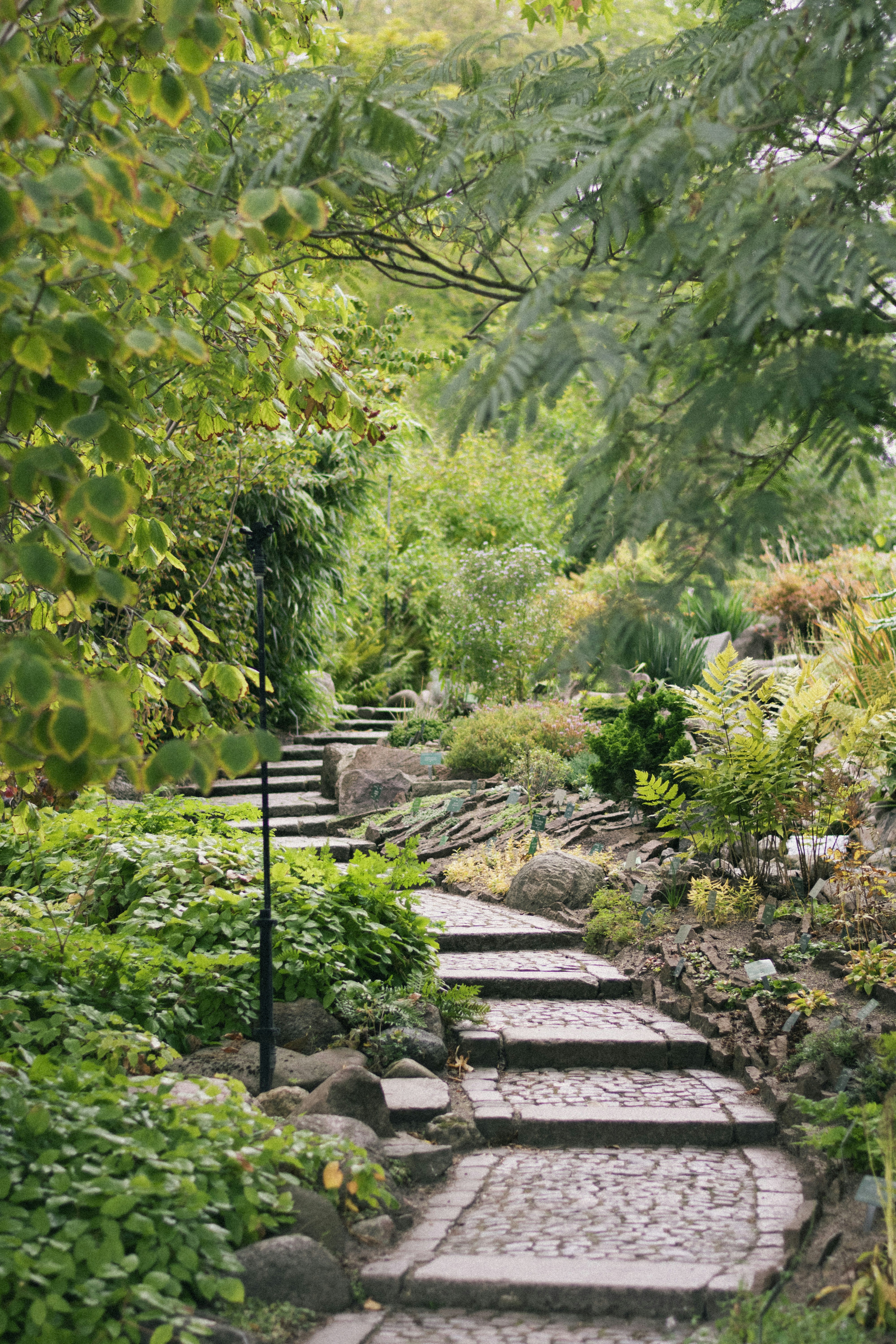 Un chemin de pierre à travers un jardin photo – Photo En plein air ...