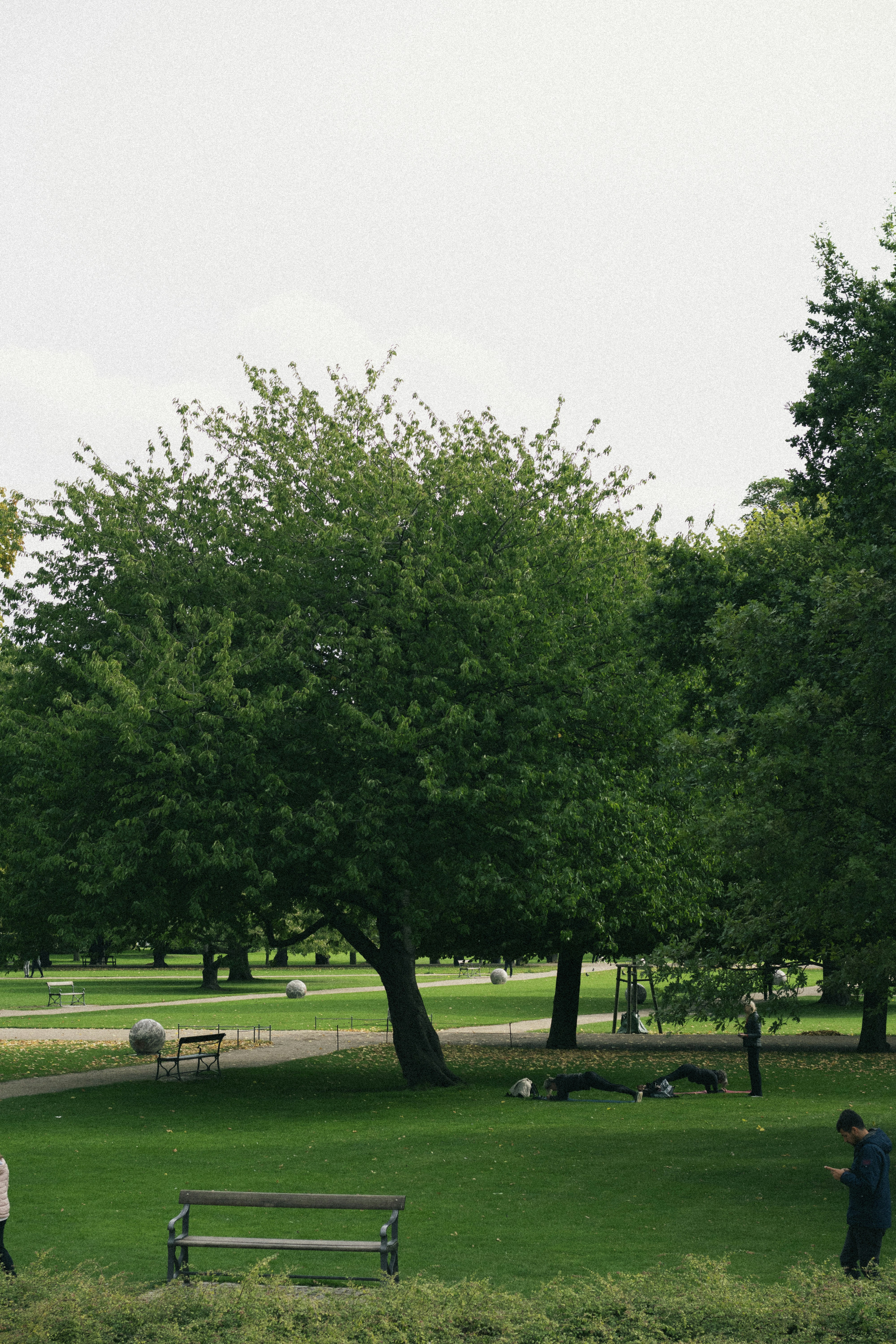 A group of people stand near a tree photo – Free Bench Image on Unsplash