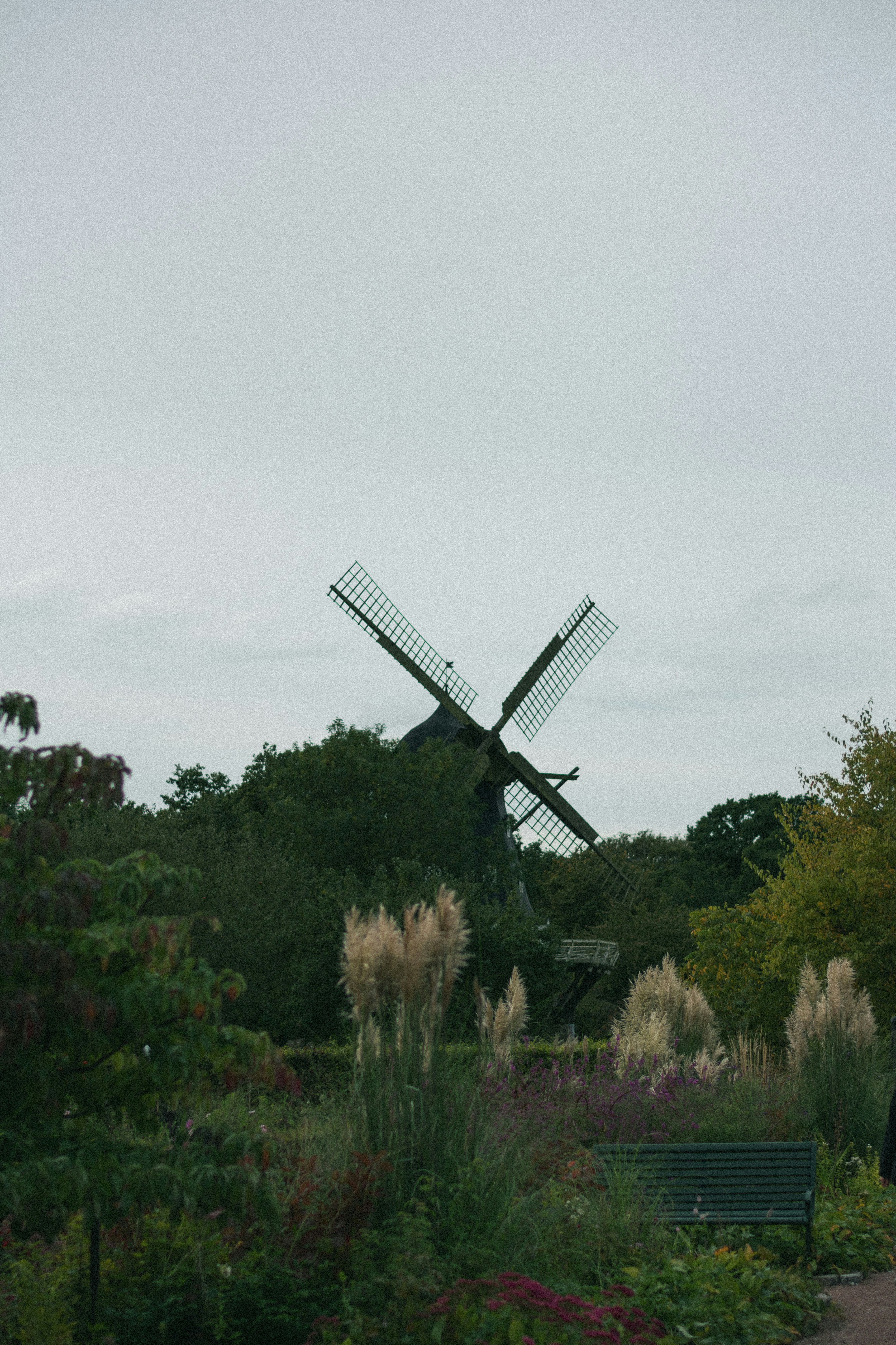 Photo by Damiano Baschiera with Nikon D3400