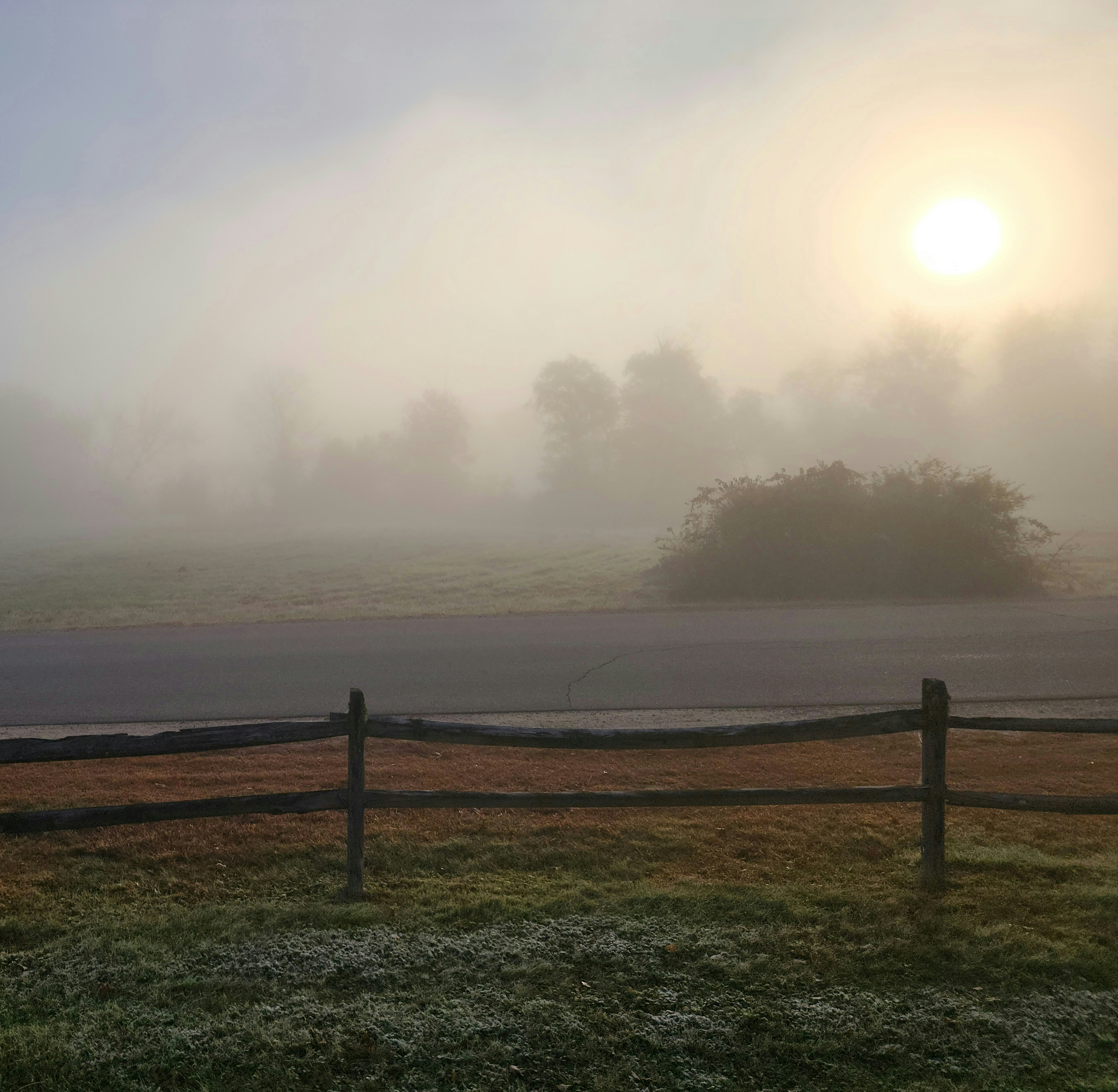 Dawn's Quiet Veil: Fog Across the Fenced Field