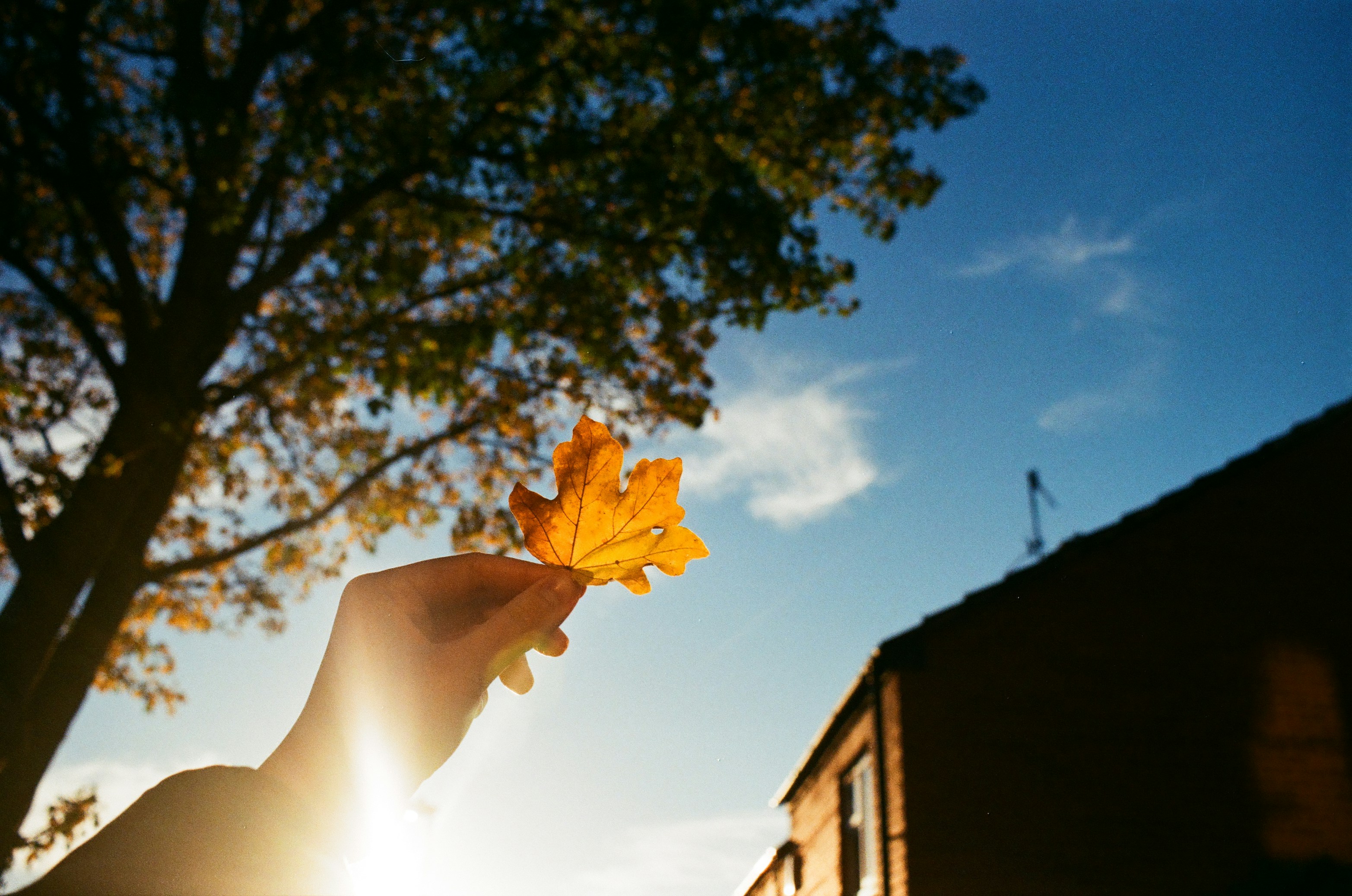 Photo by Mia Truong with Olympus OM-10