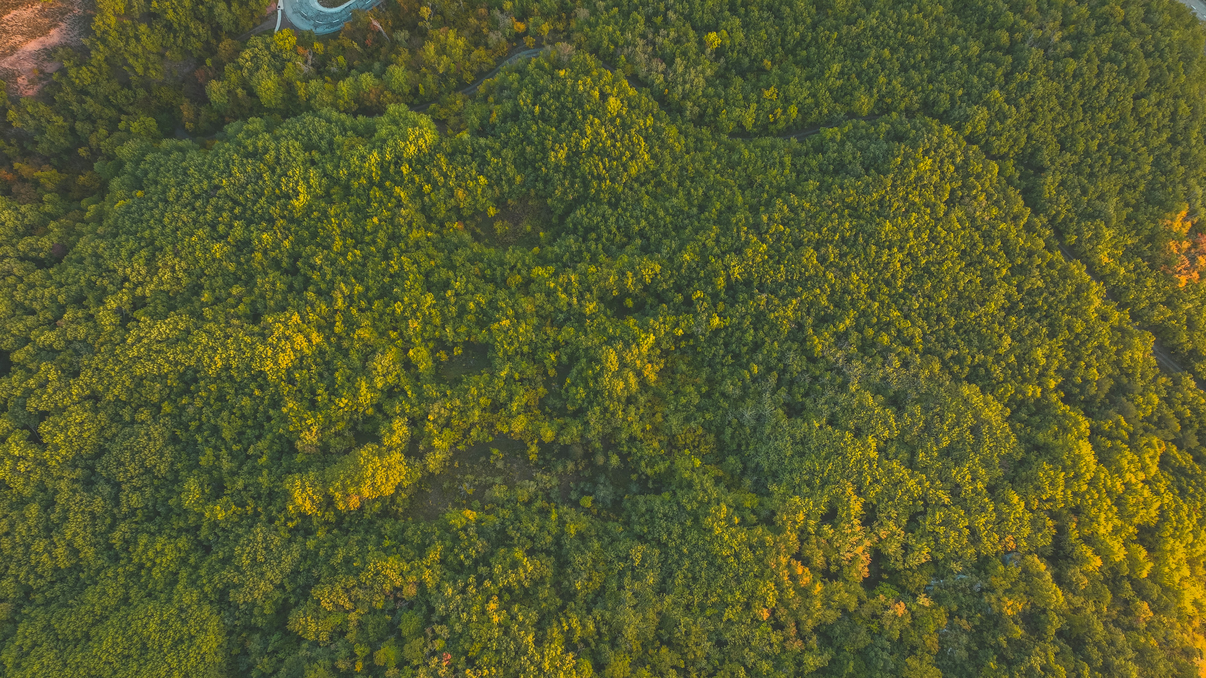 Electric and Magnetic Fields in Capacitors