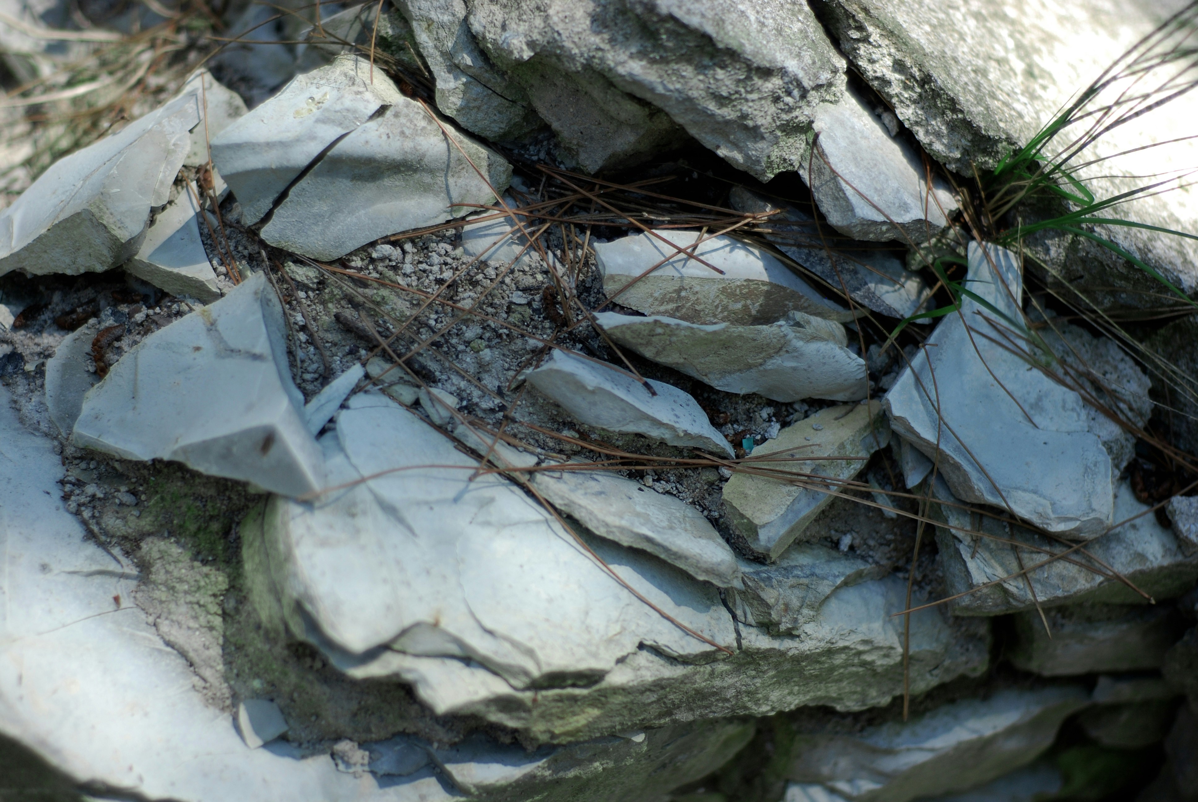 Background of stones