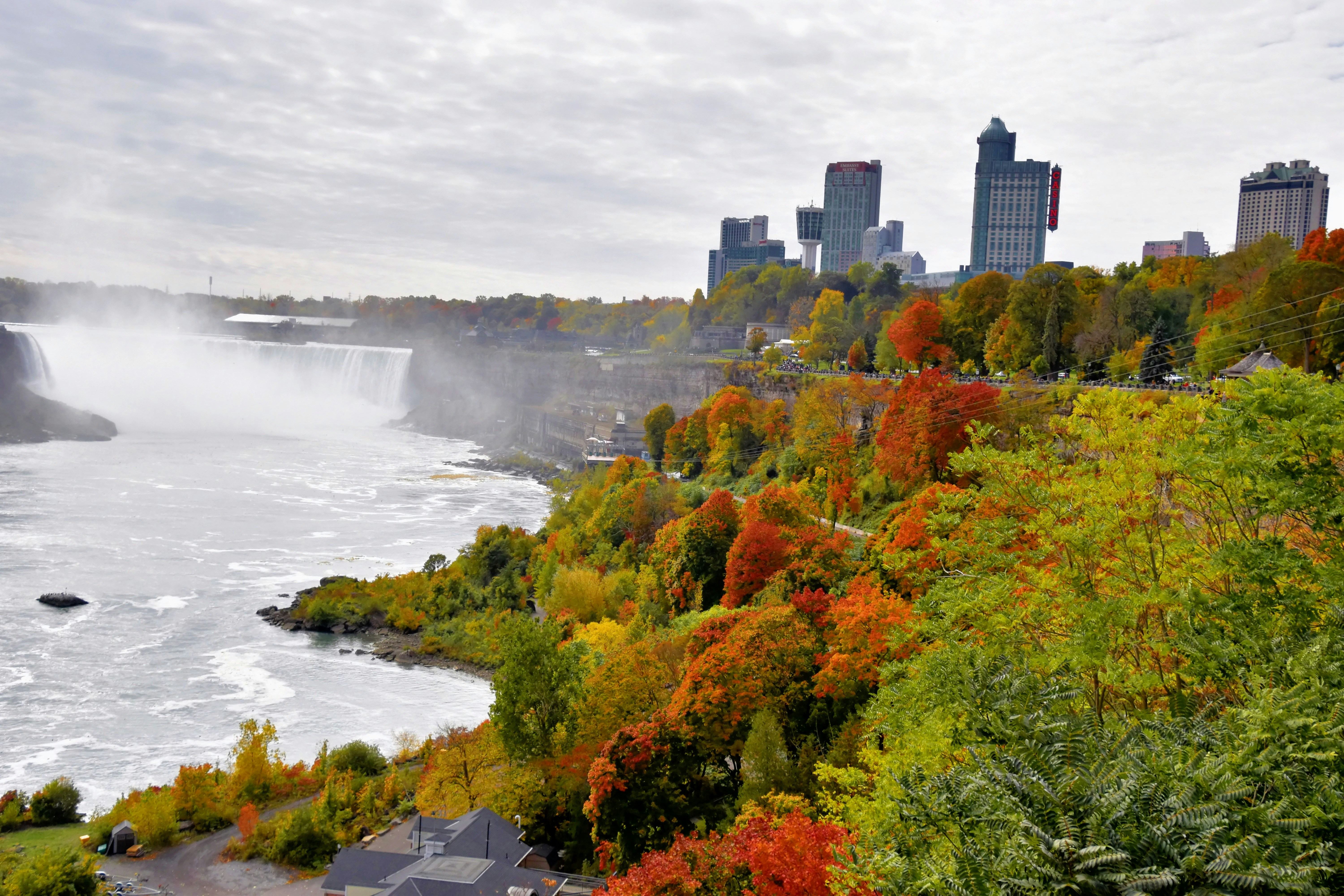 Autumn Canopy Over Niagara: Falls Mist and Downtown Silhouette