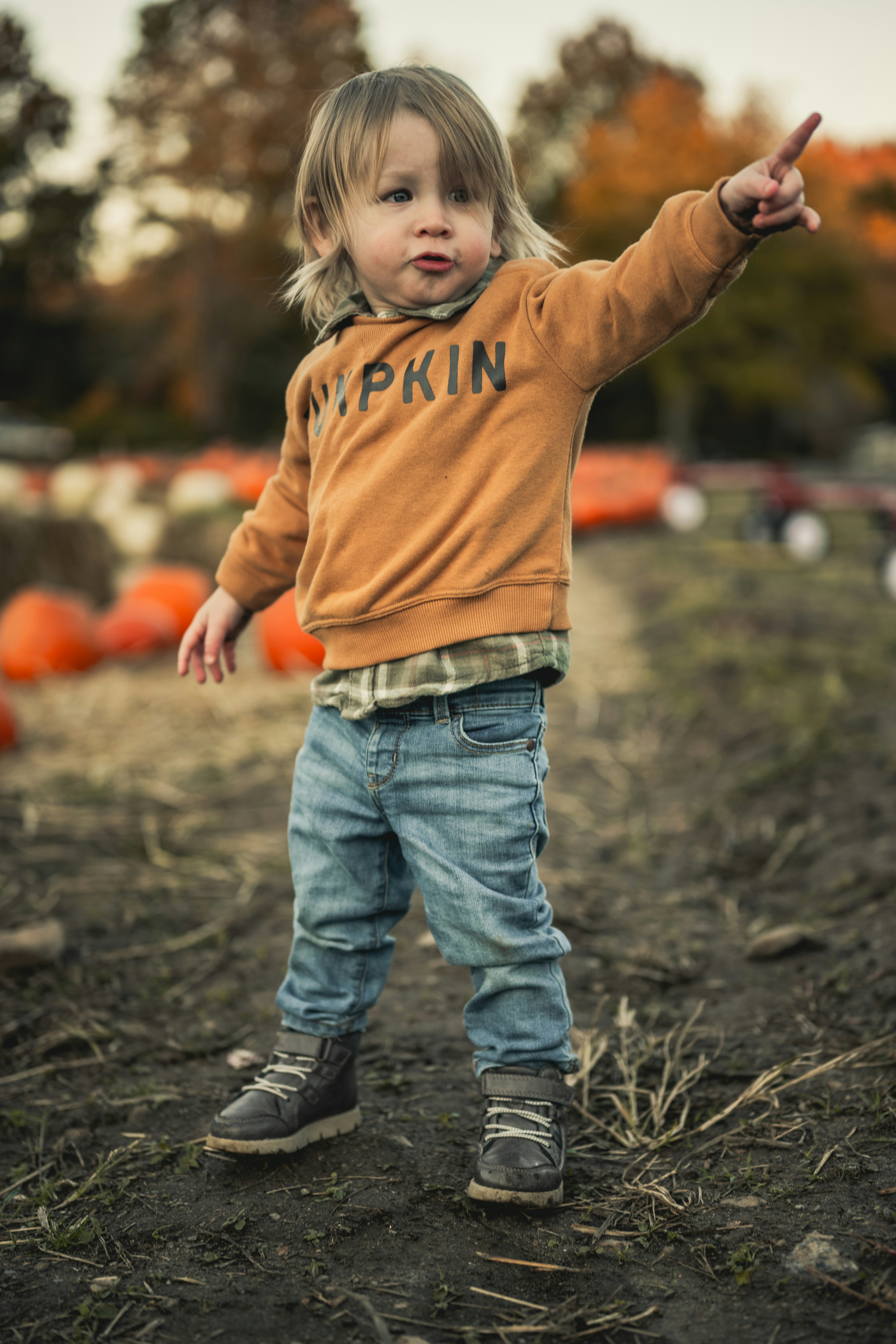 Toddler in a pumpkin-themed sweatshirt stands confidently in a pumpkin patch, pointing towards something off-camera. The vibrant autumn colors create a warm, inviting atmosphere.