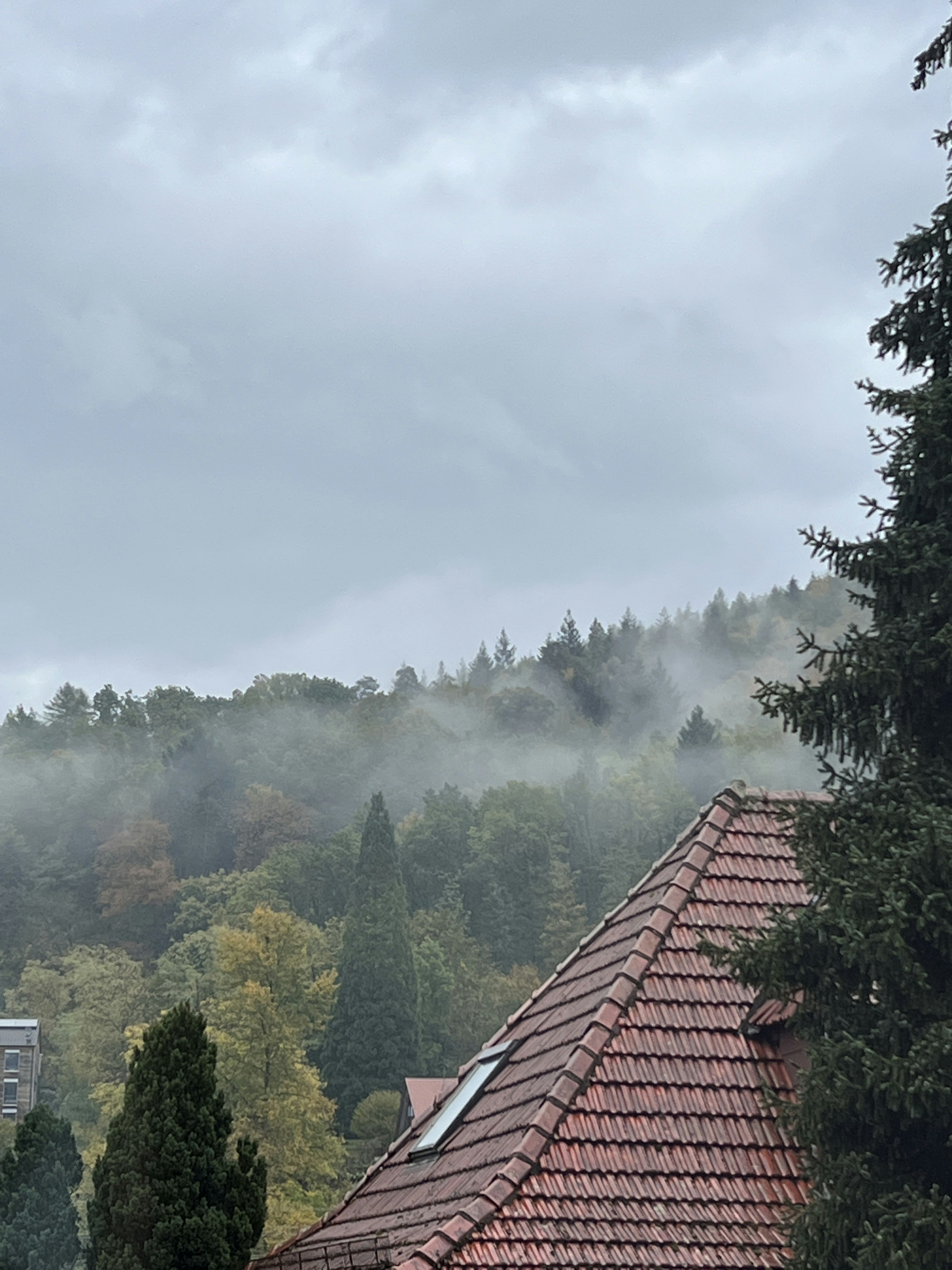 Red-Tiled Ridge in Morning Mist