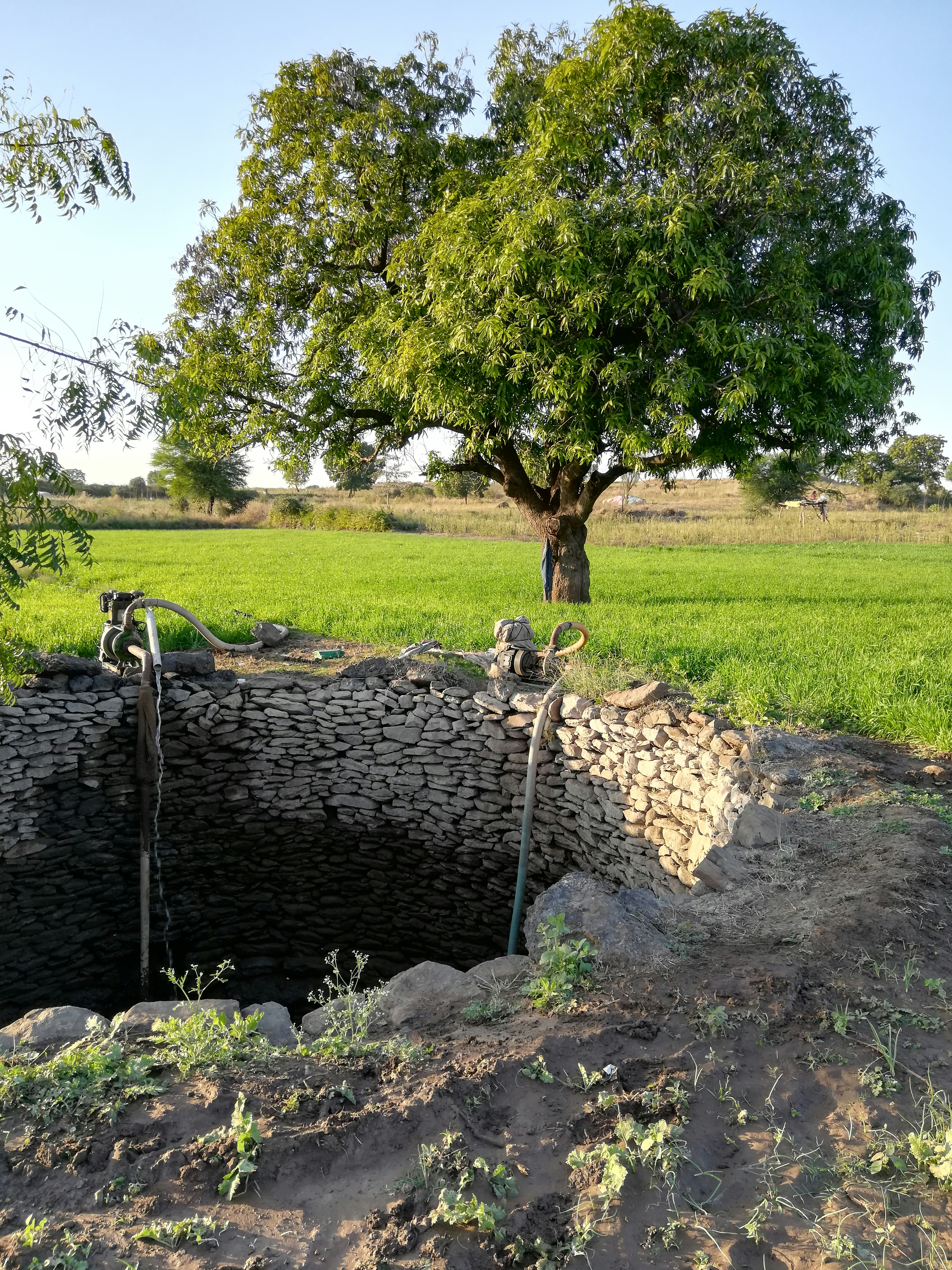 Rural landscape featuring a stone-walled well in the foreground, a green field, and a large tree beneath a clear blue sky.