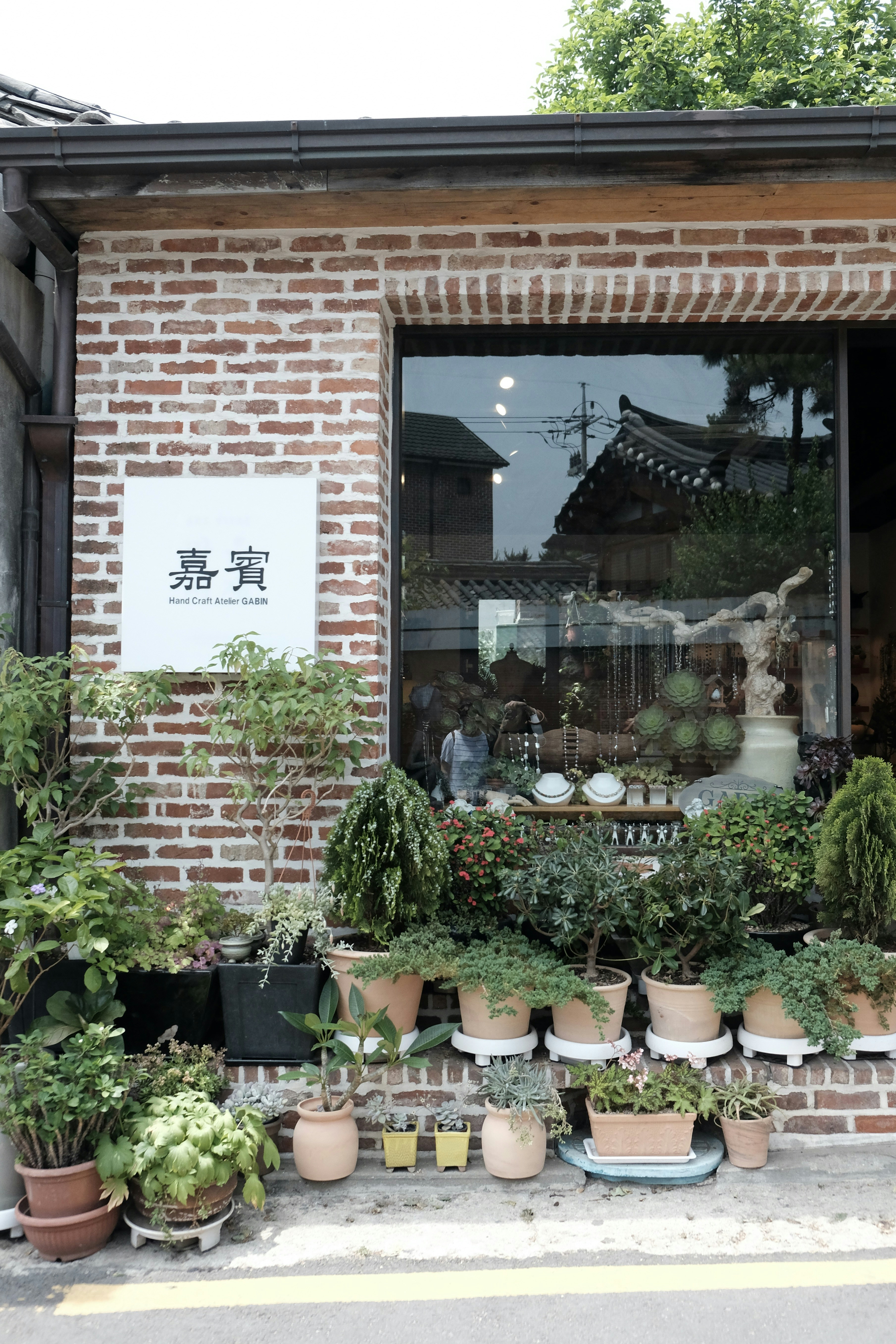 Ceramics and Foliage Bloom in a Brick-Walled Shopfront