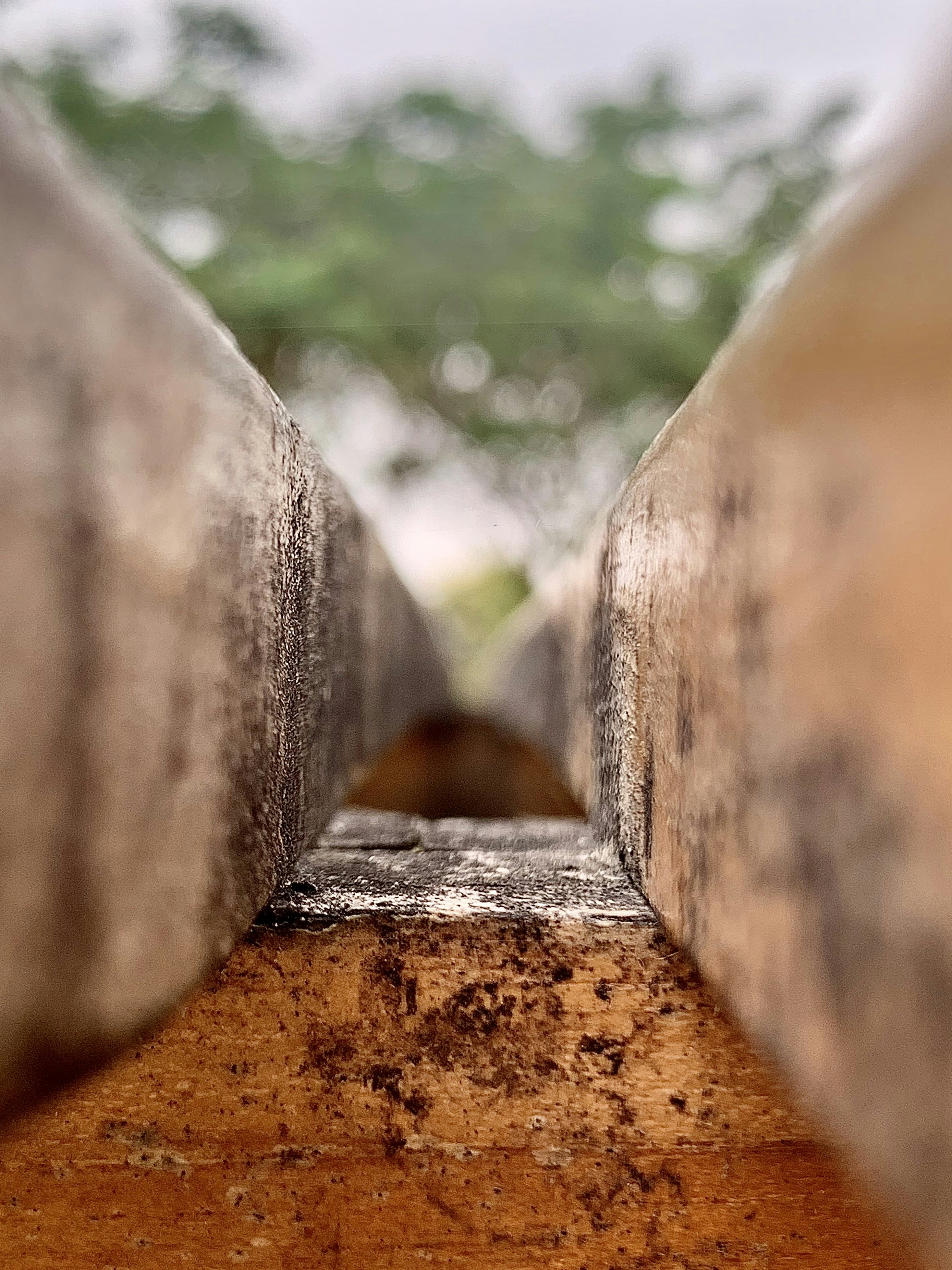 Between Weathered Slats: A Narrow Corridor Reaching Toward a Green Blur