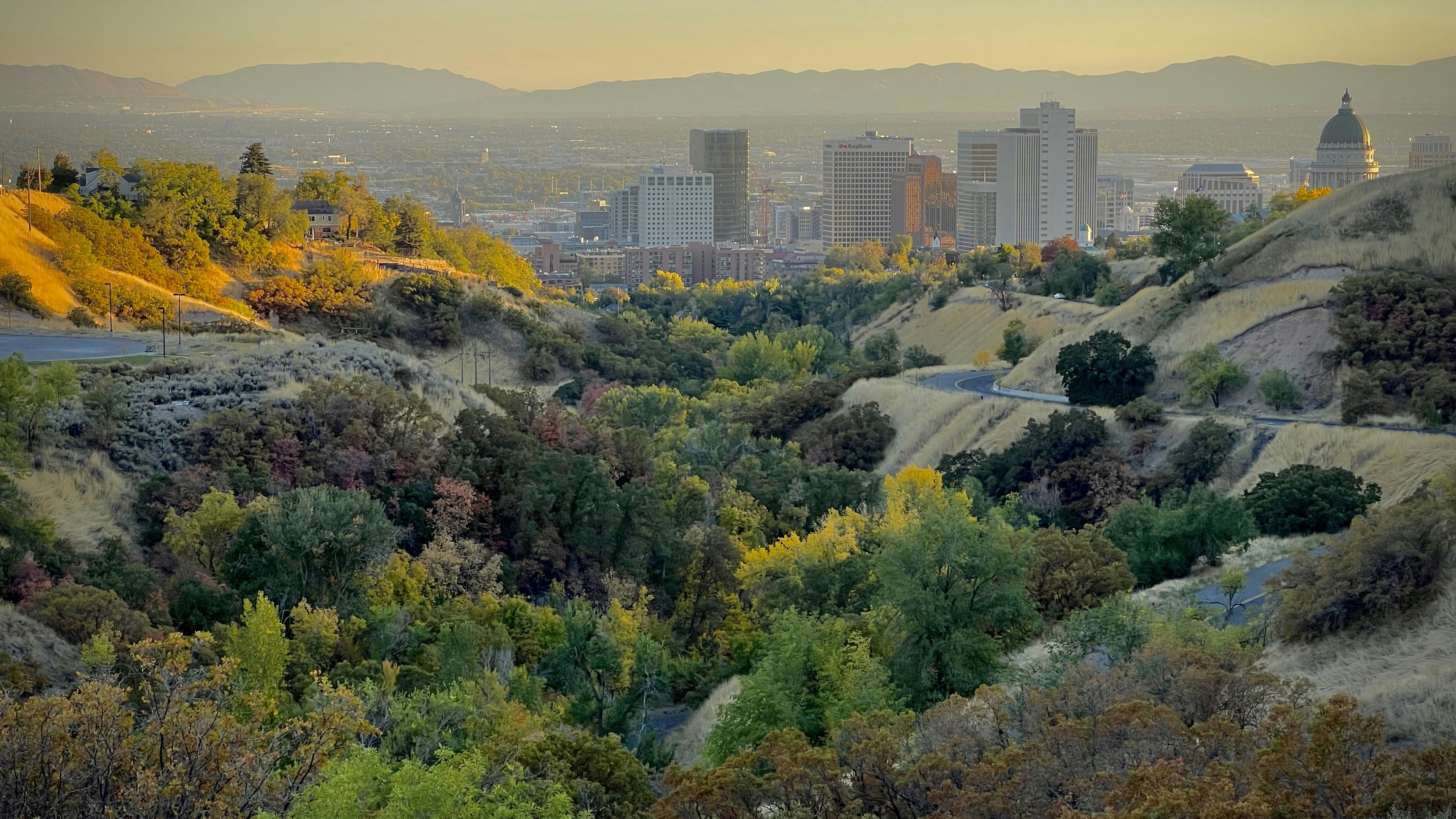 Vibrant autumn foliage frames a valley leading to a bustling city skyline under a soft golden light.