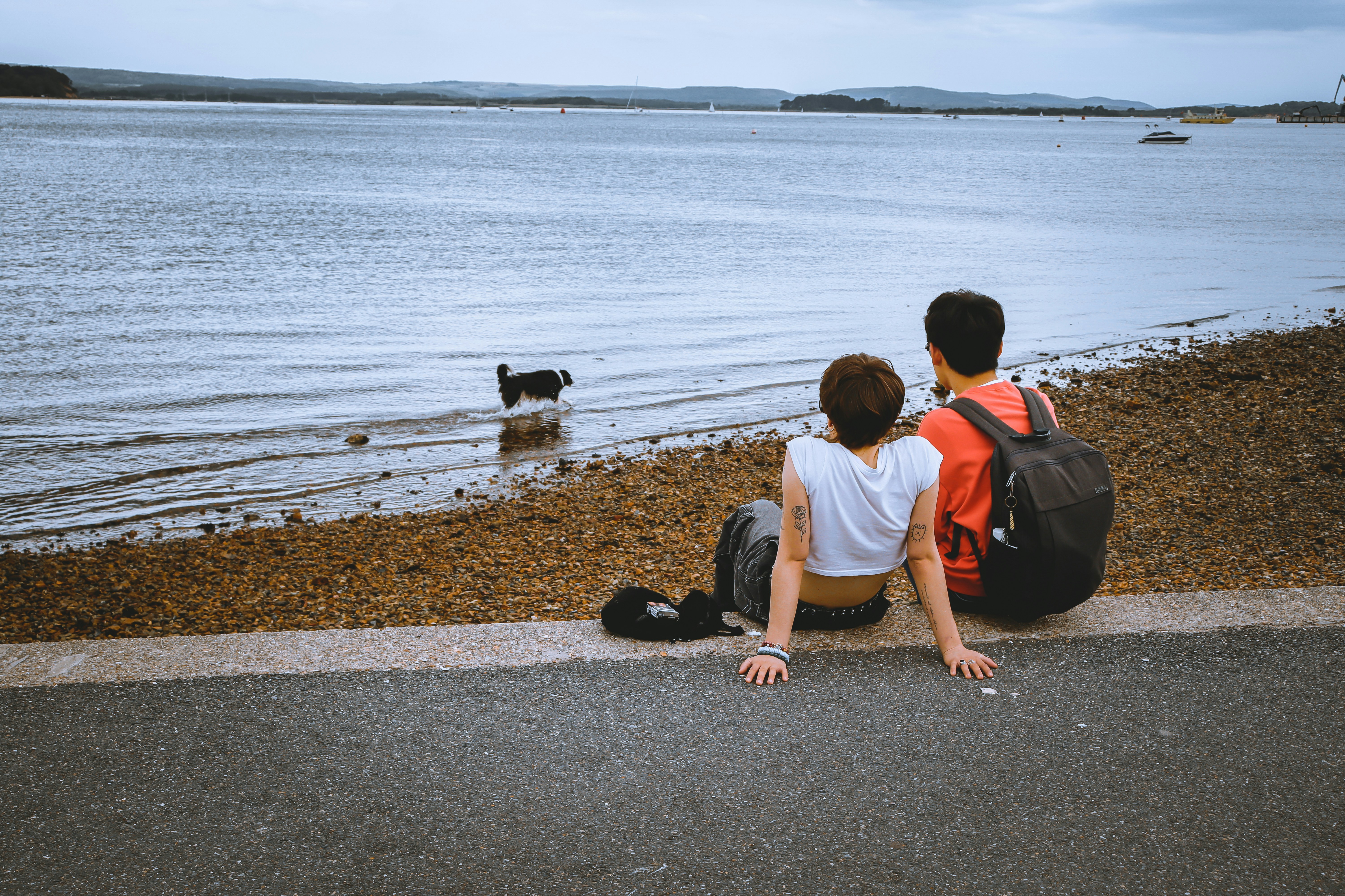 Friends chilling at the seaside with dog