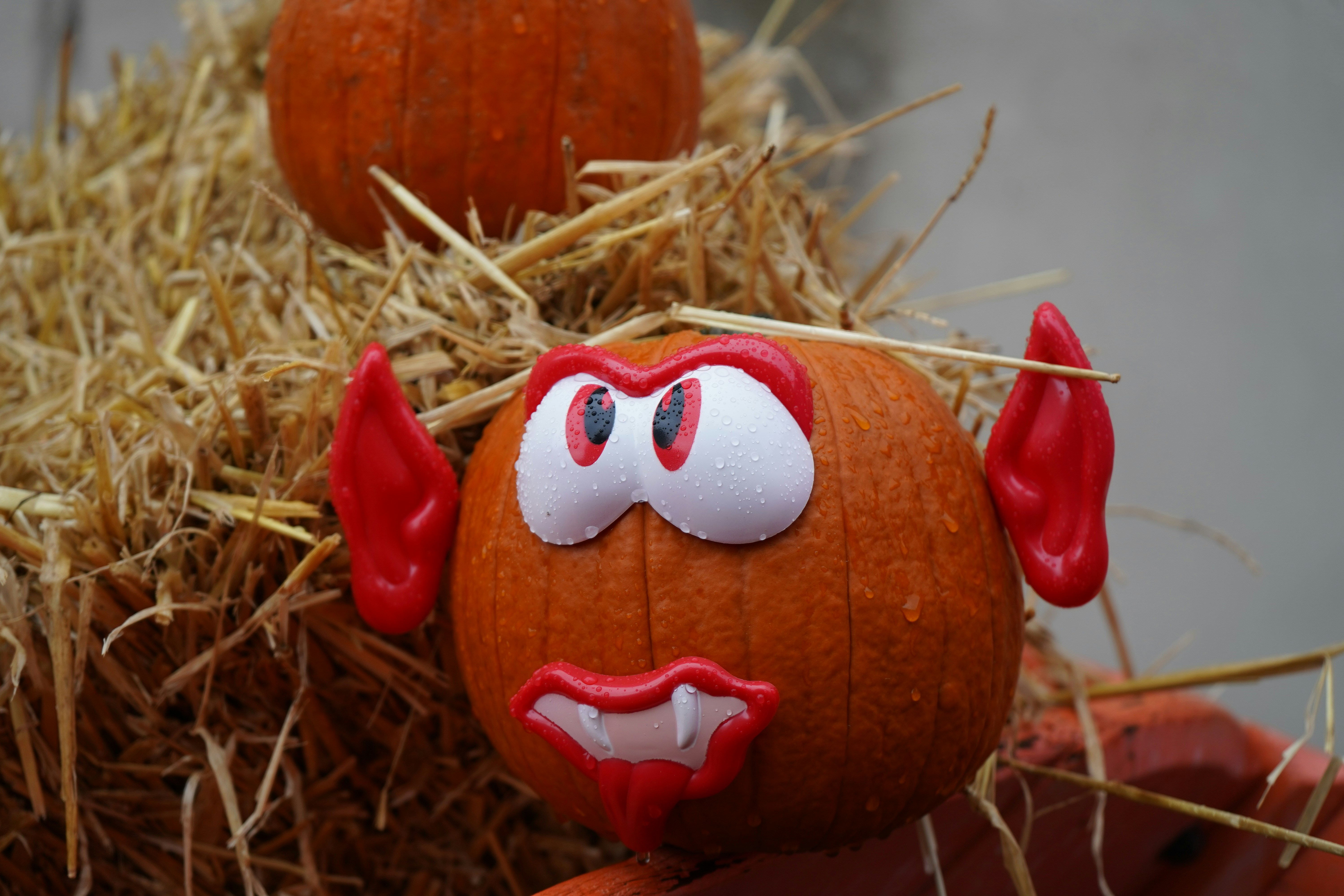 Pumpkin Face: A Cheery Halloween Head perched on Straw