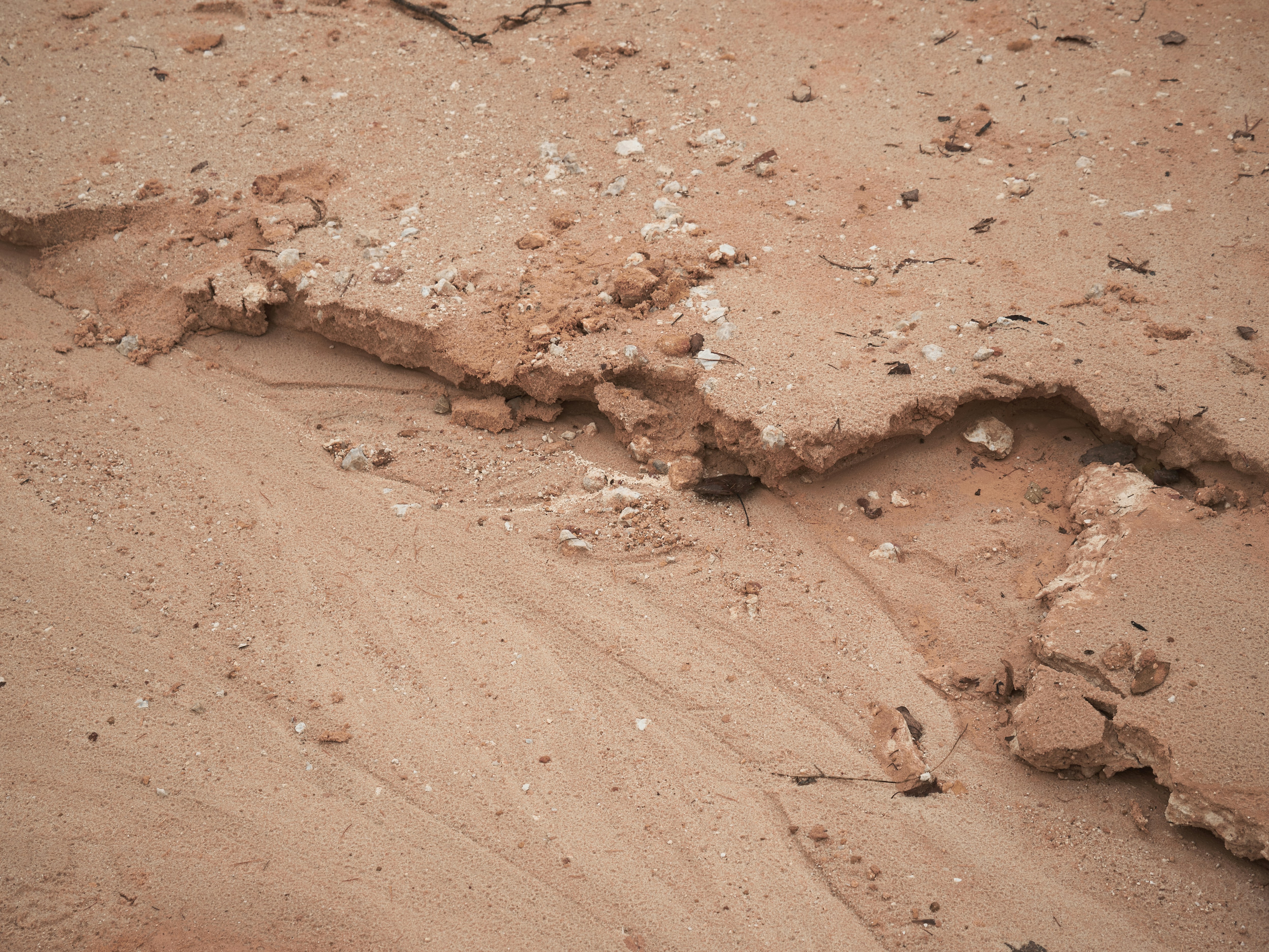 Whorls of Wind: Close-Up of Desert Sand Carvings