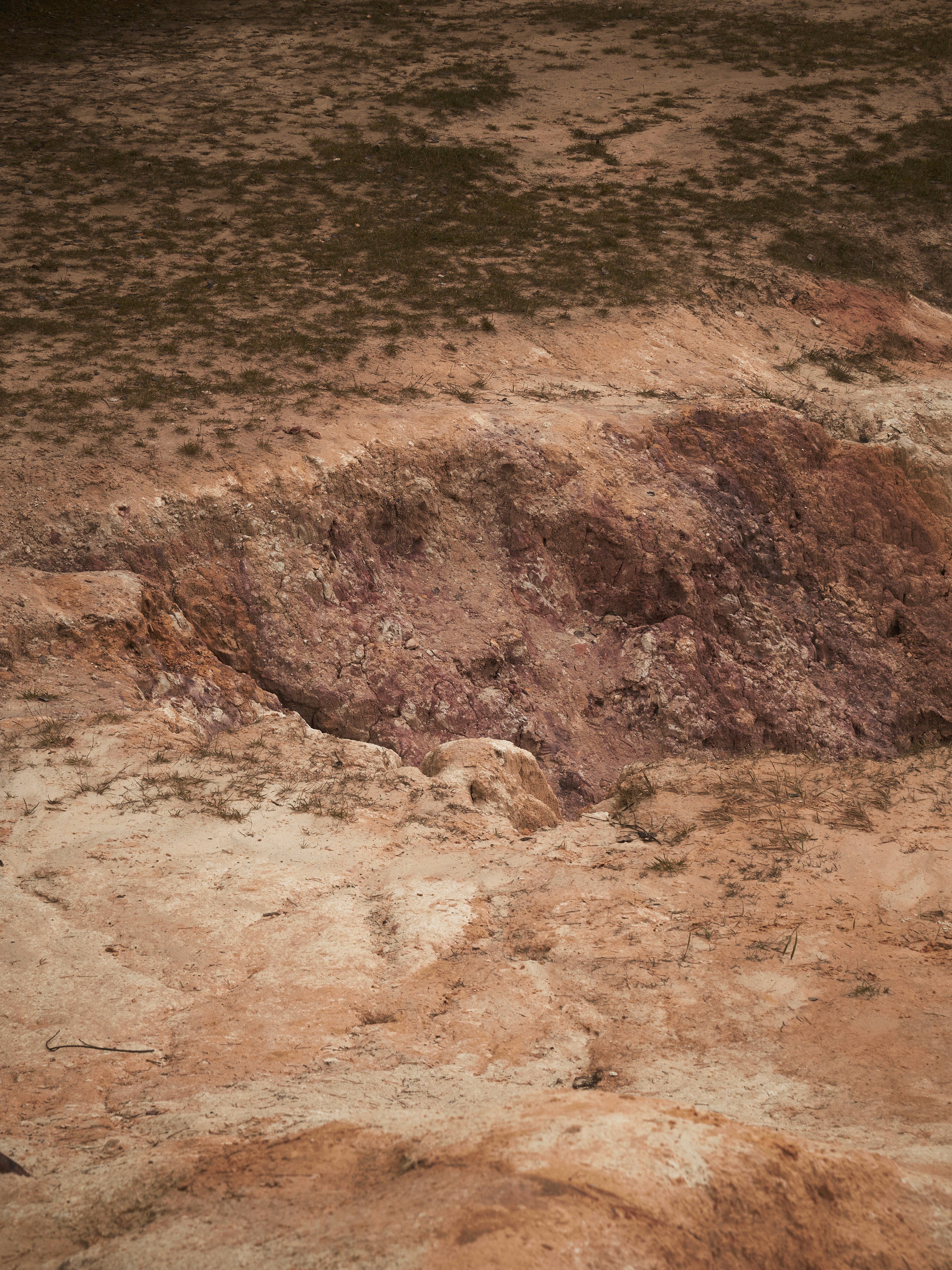 Terraced Earth: A Sun-Baked Rock Ledge in Focus