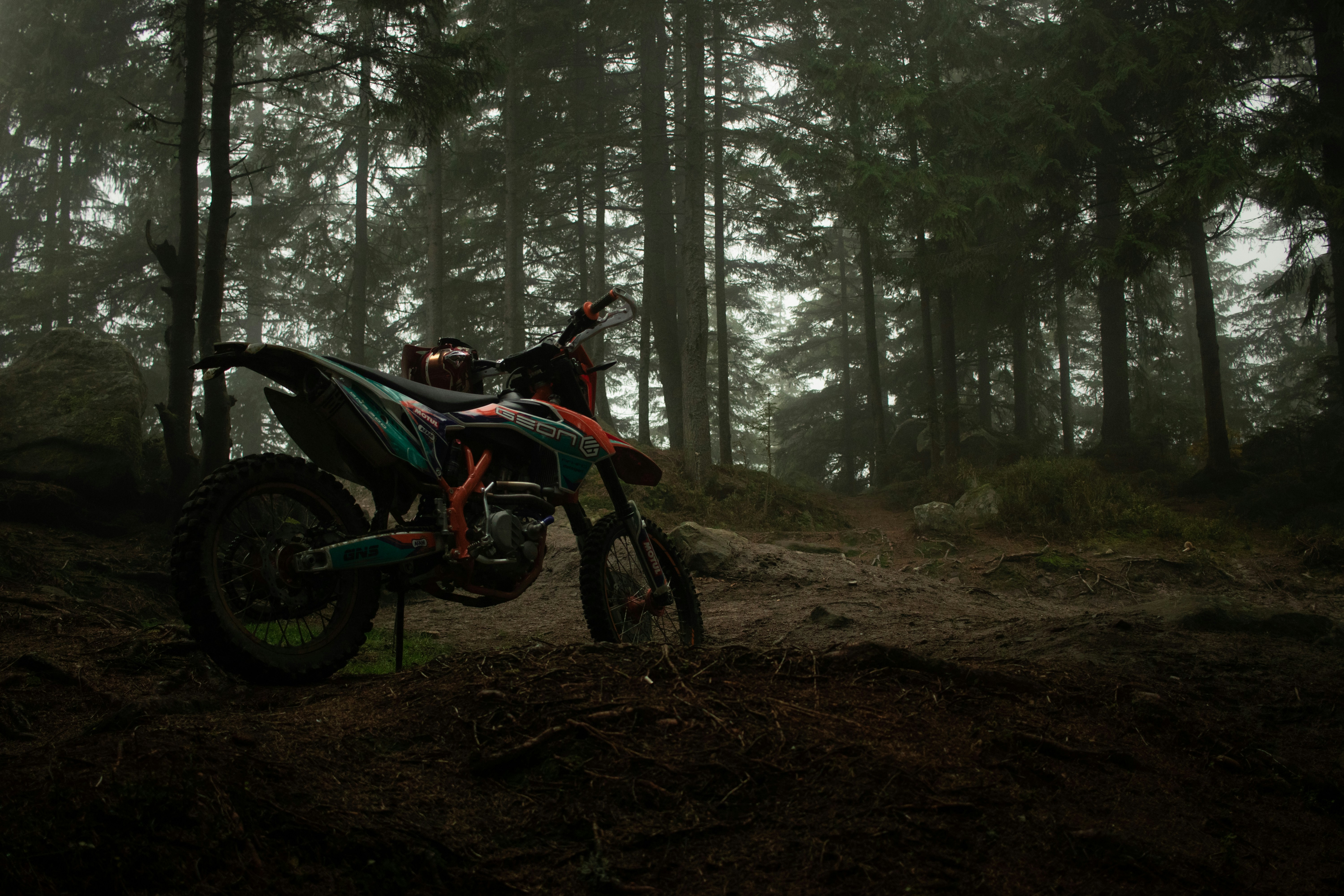 Trailblazer Amidst the Fog