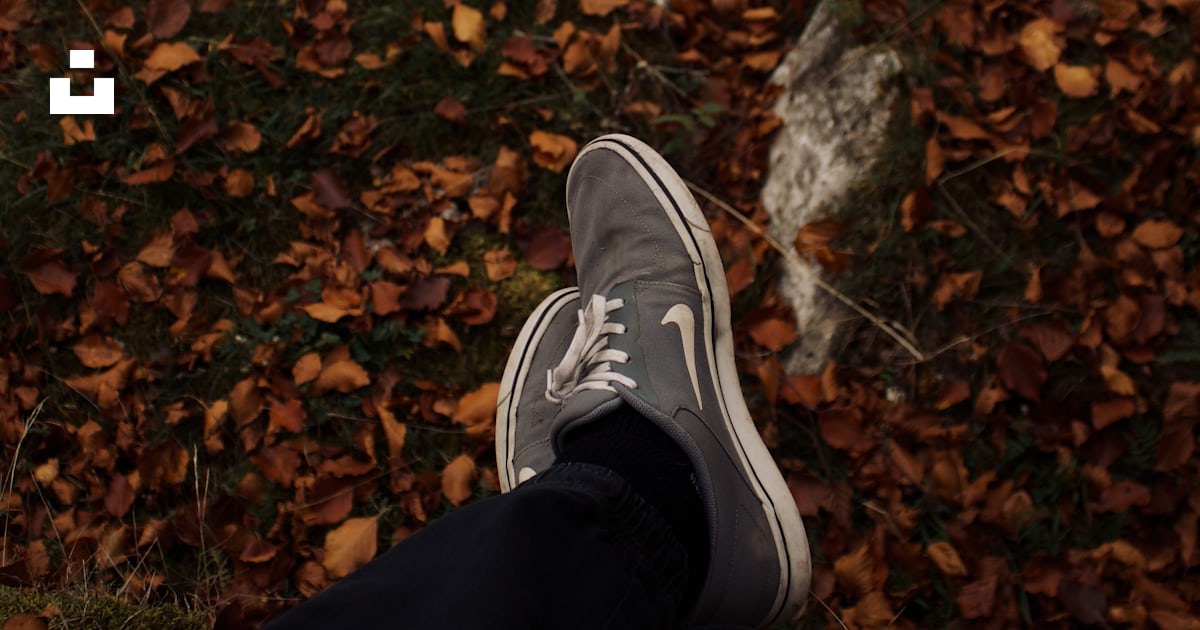 Foto Los Pies De Una Persona En Una Roca En Un Bosque Imagen Parco