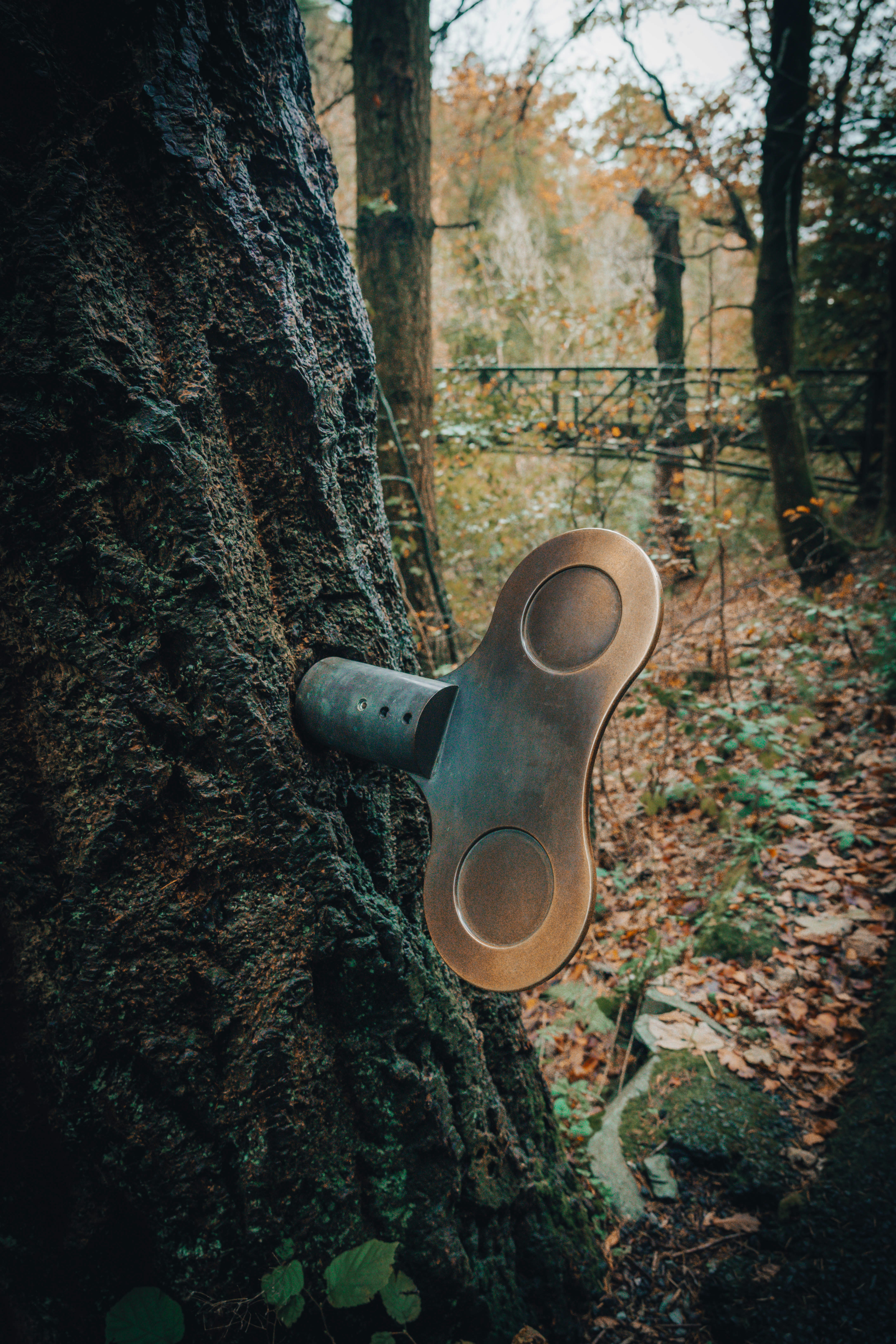 a metal object on a tree