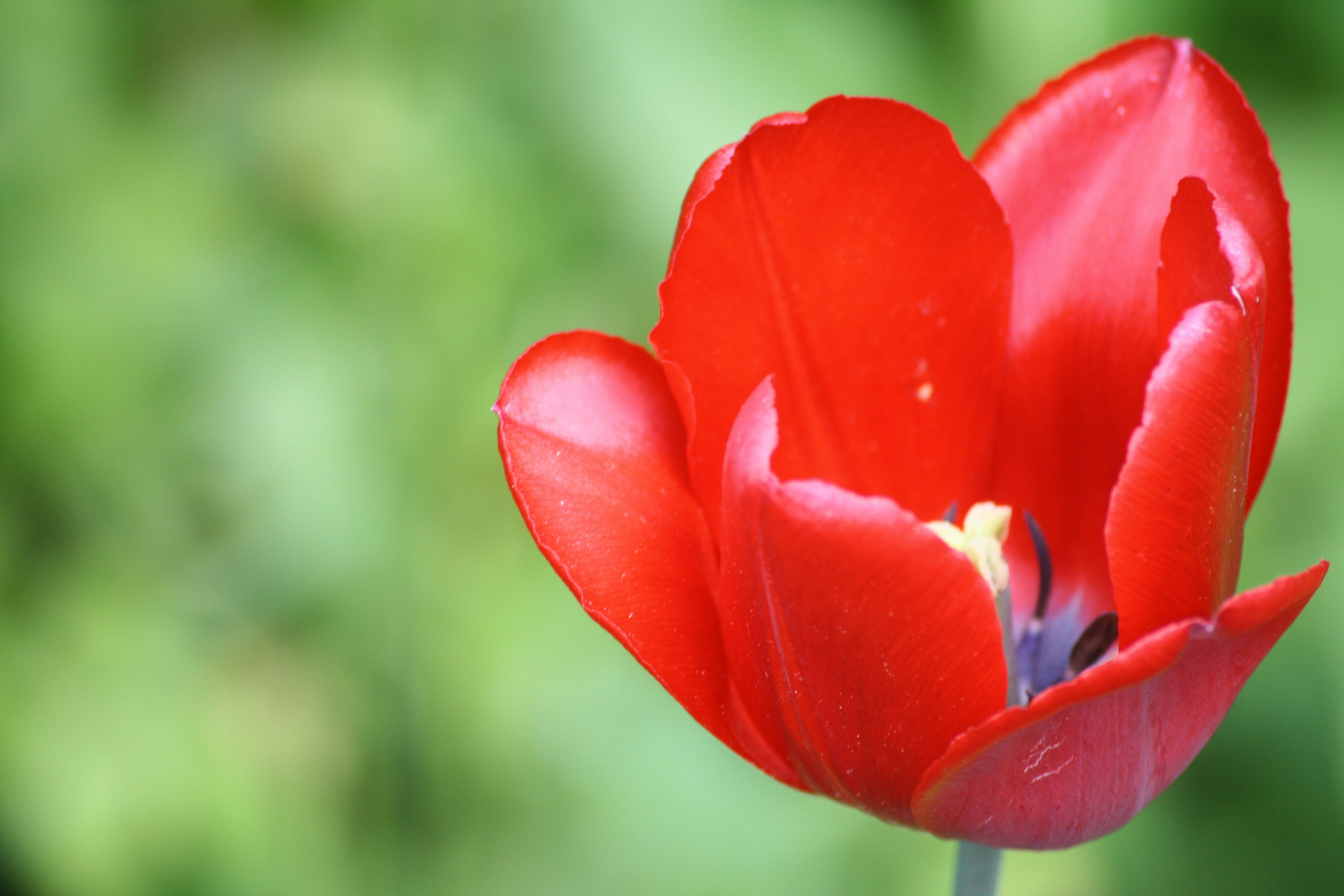 Tatiana Yuryeva (@tatamao) | Unsplash Photo Community