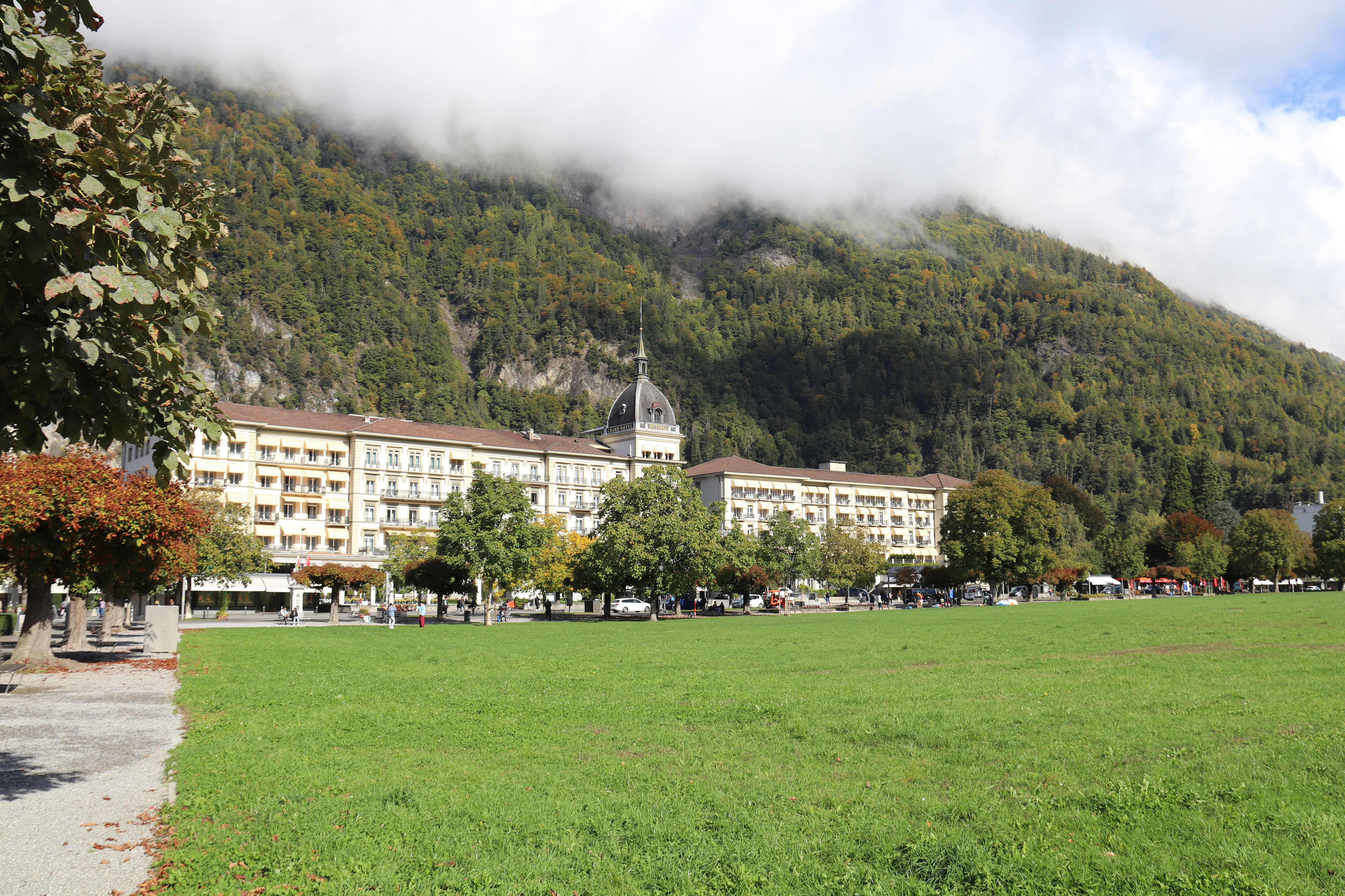 Photo by Shalev Cohen with Canon EOS 800D